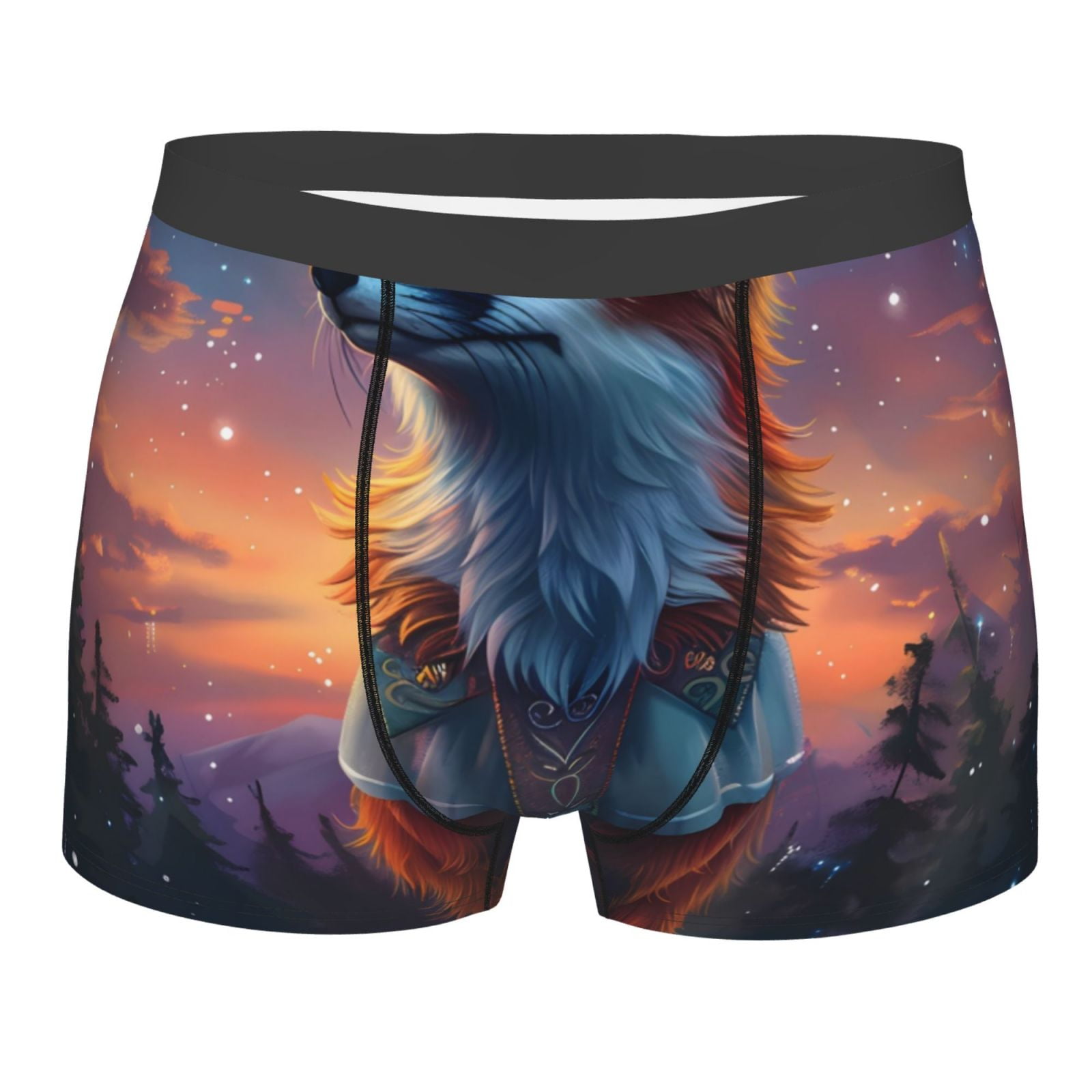 KLL Starry Sky Meditating Fox Men's Cotton Boxer Briefs Underwear-Large ...