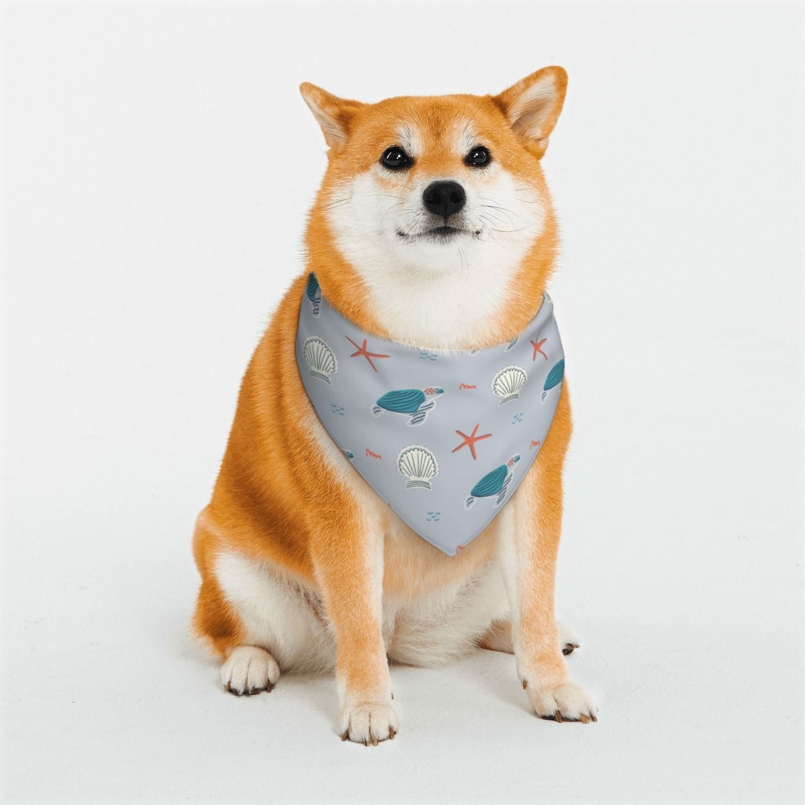 KLL Turtles And Shells Dog Bandanas,Triangle Reversible Pet Scarf for ...