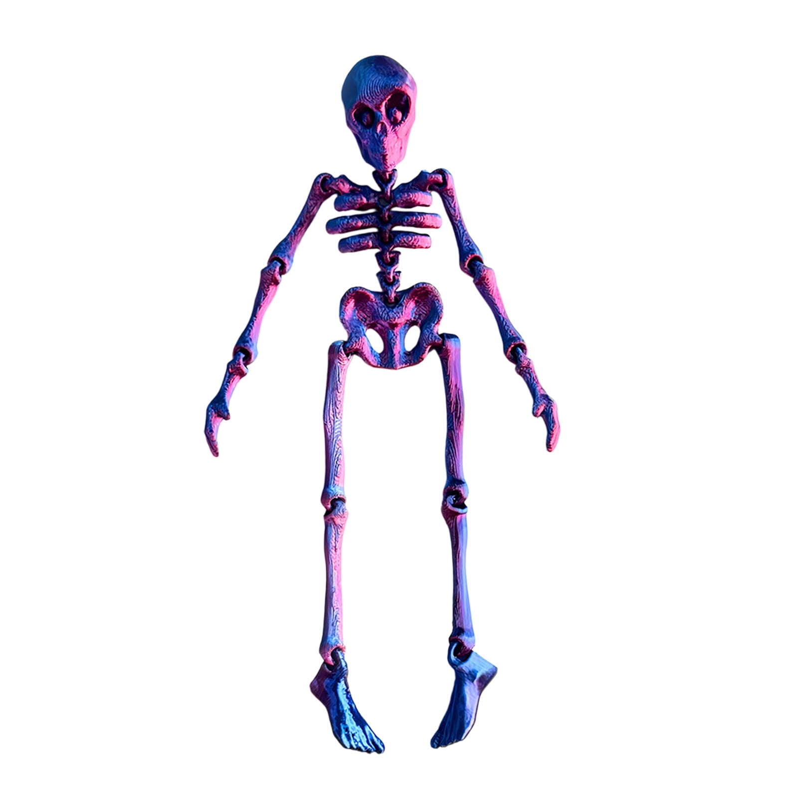 KMMYS Poseable Skeleton Fridge Magnet, Articulated Skeleton with ...