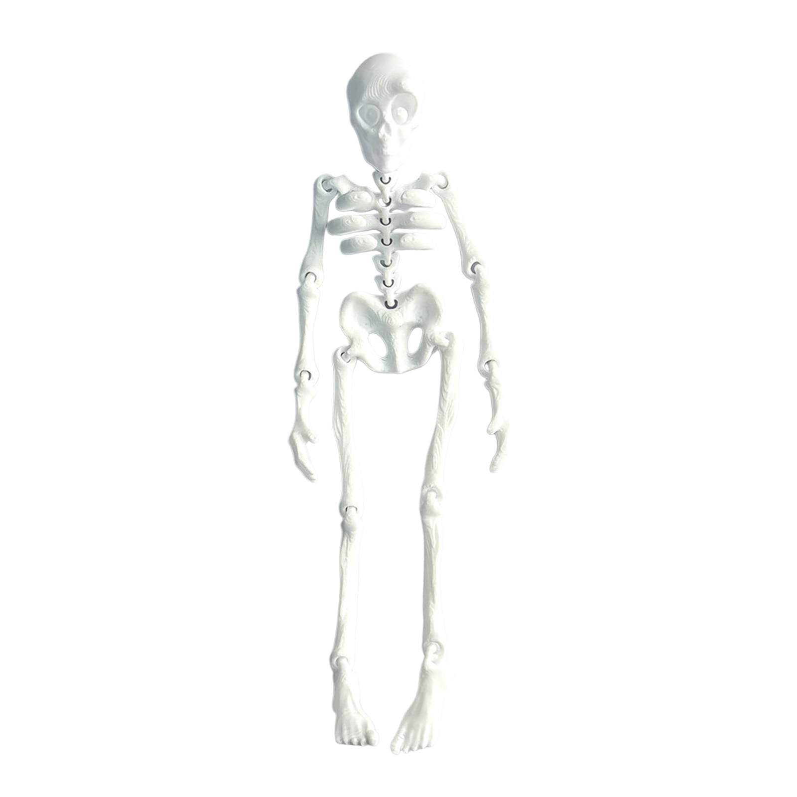 KMMYS Poseable Skeleton Fridge Magnet, Articulated Skeleton with ...