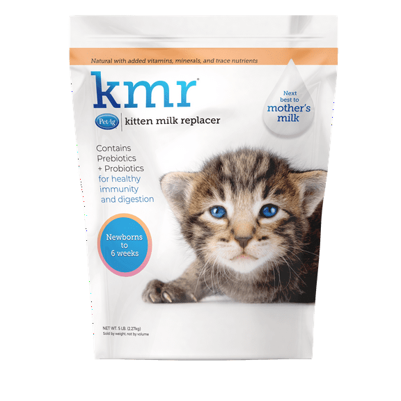 Kmr Kittens