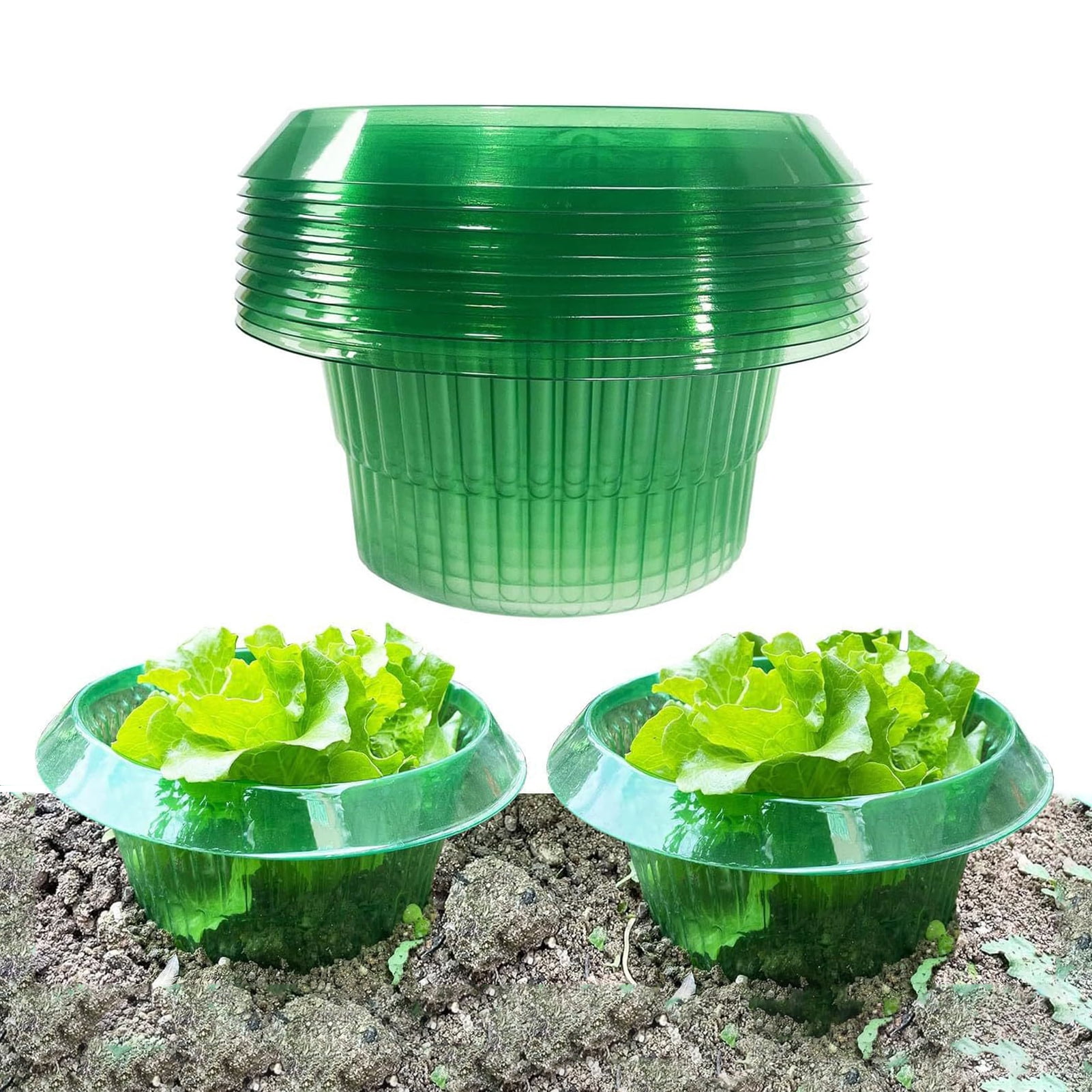 KMSS Garden Plant Cloches Plant Cover Protectors Transparent Cloches Protect Plants from Birds ...