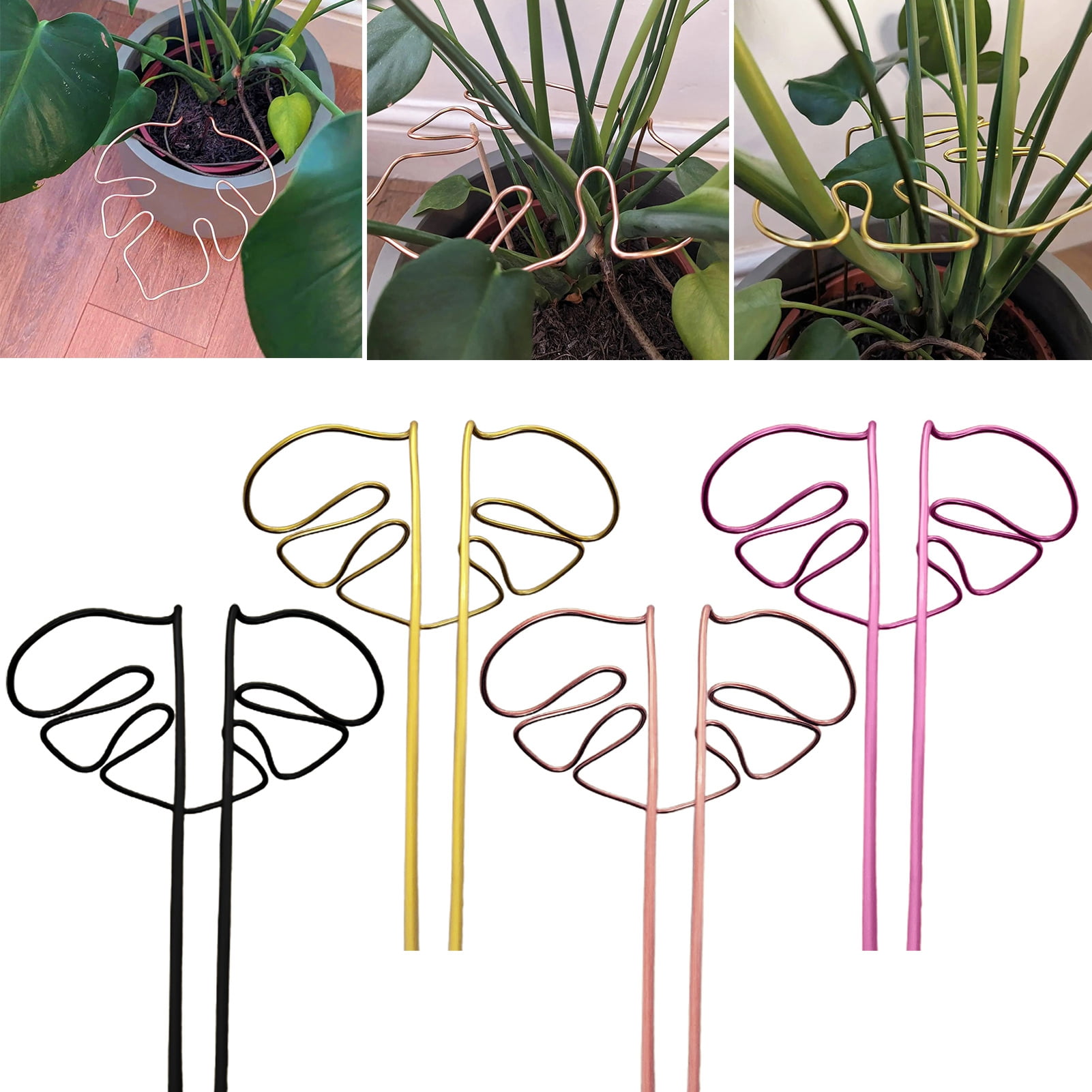 KMSS Plant Support Stakes 1Pcs Plant Stakes for Indoor Potted Plants ...