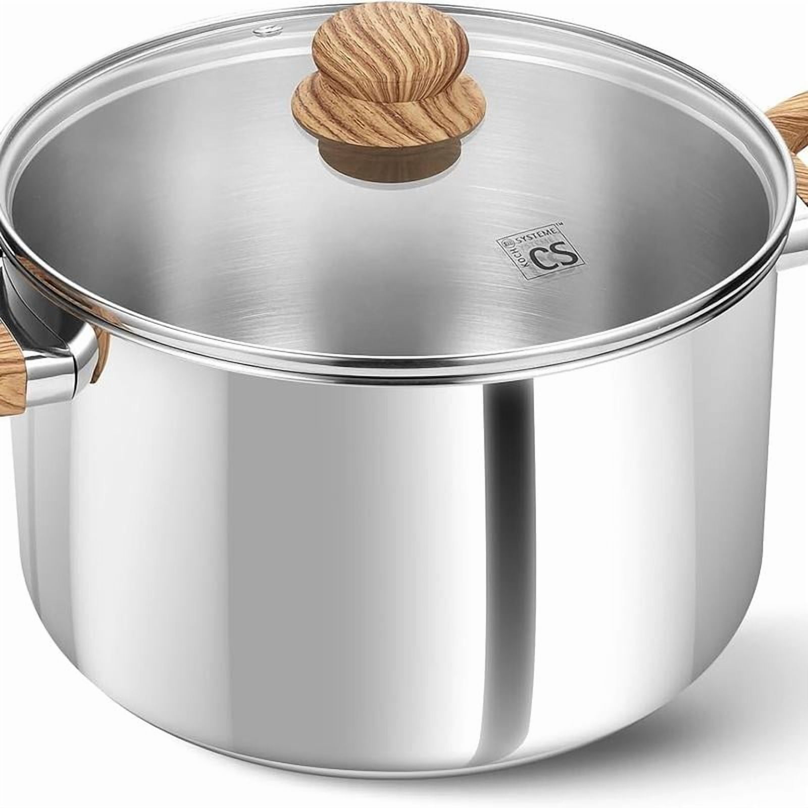 KOCH SYSTEME CS 6QT Stainless Steel Stock Pot with Lid - Bakelite Side ...