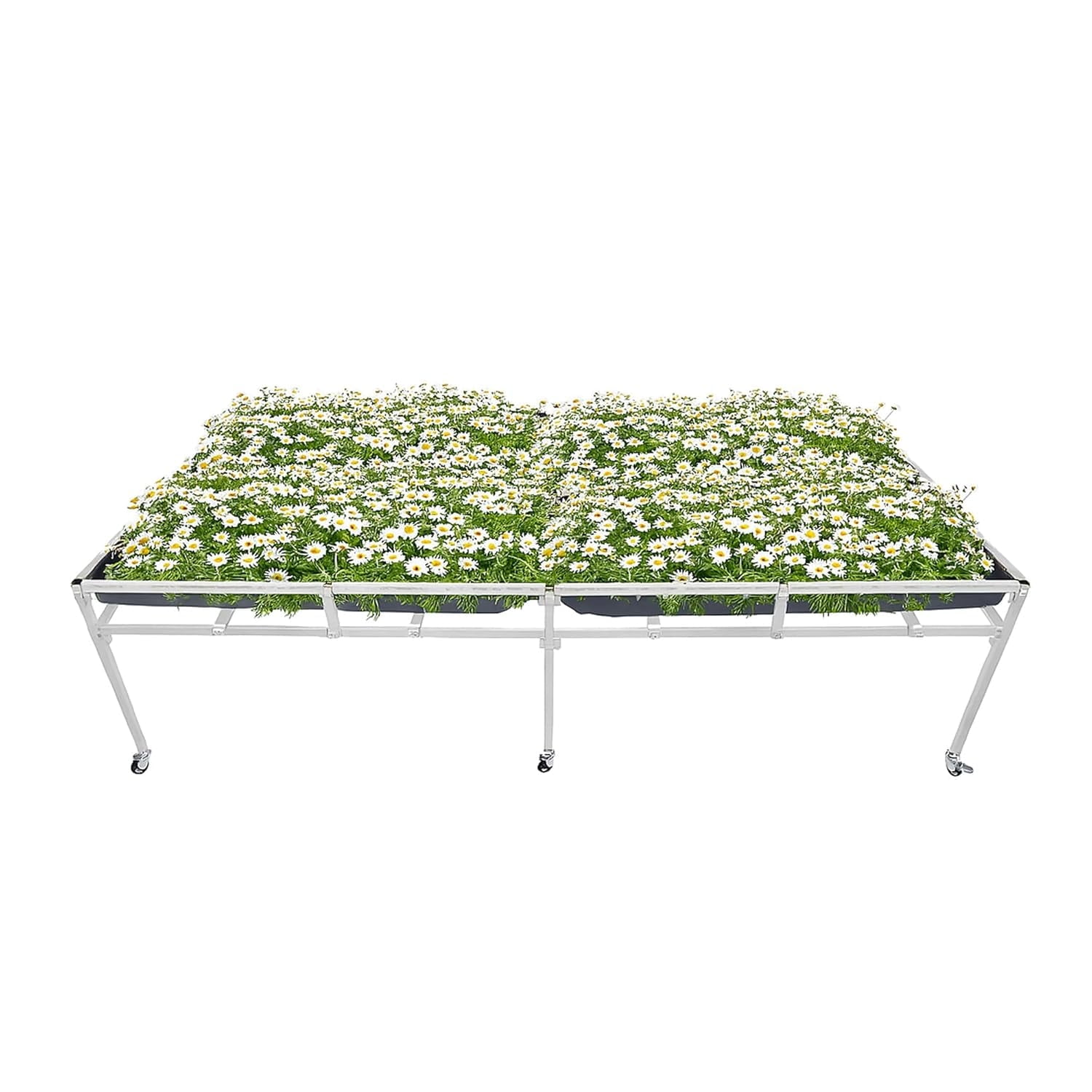 KOJEM Adjustable Hydroponic Tray Stand 4x8ft or 4x4ft, Rolling Flood ...
