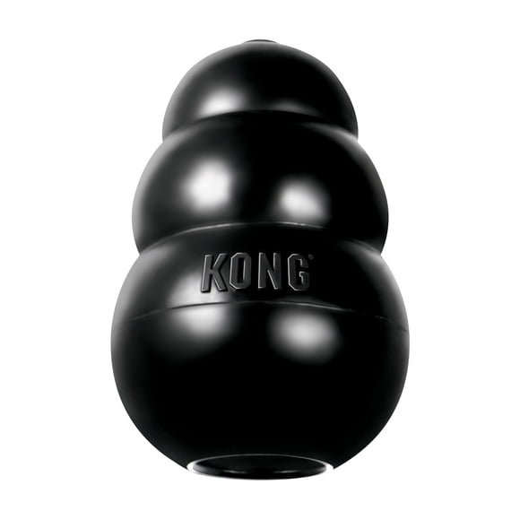 Kong Subscription Box