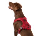 KONG Ultra Durable Waste Bag Harness (Large, Red) - Walmart.com