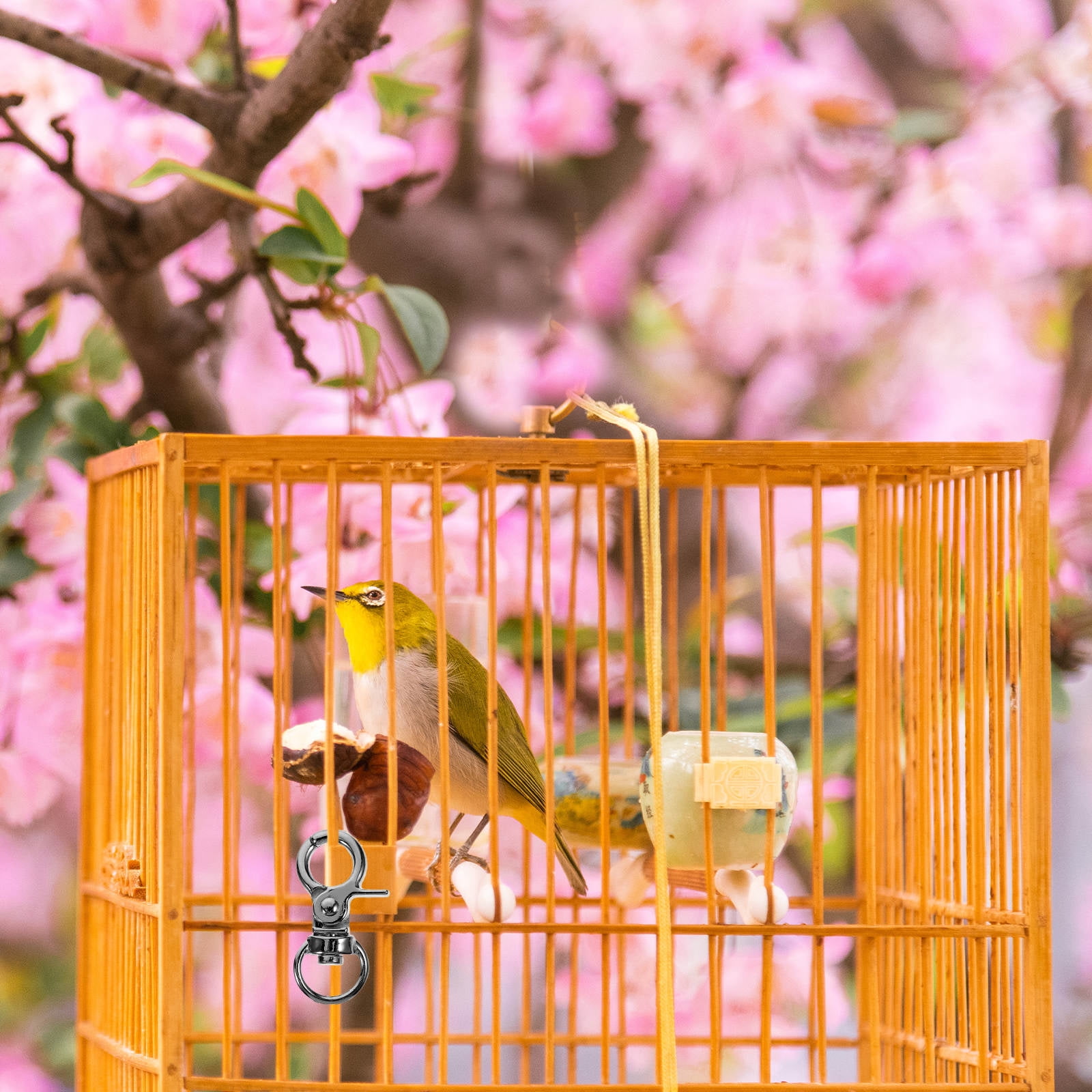 KONTONTY 10pcs Bird Cage Lock Buckles Parrot Cages Anti-Escape Metal ...