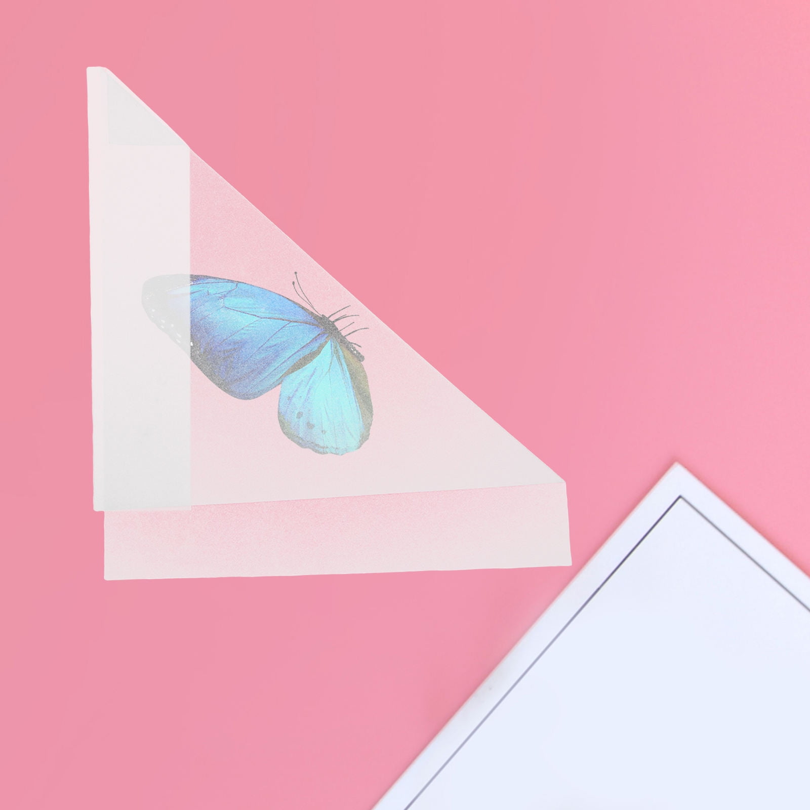 KONTONTY 20pcs Specimen Triangle Paper Bags Butterfly Preservation ...