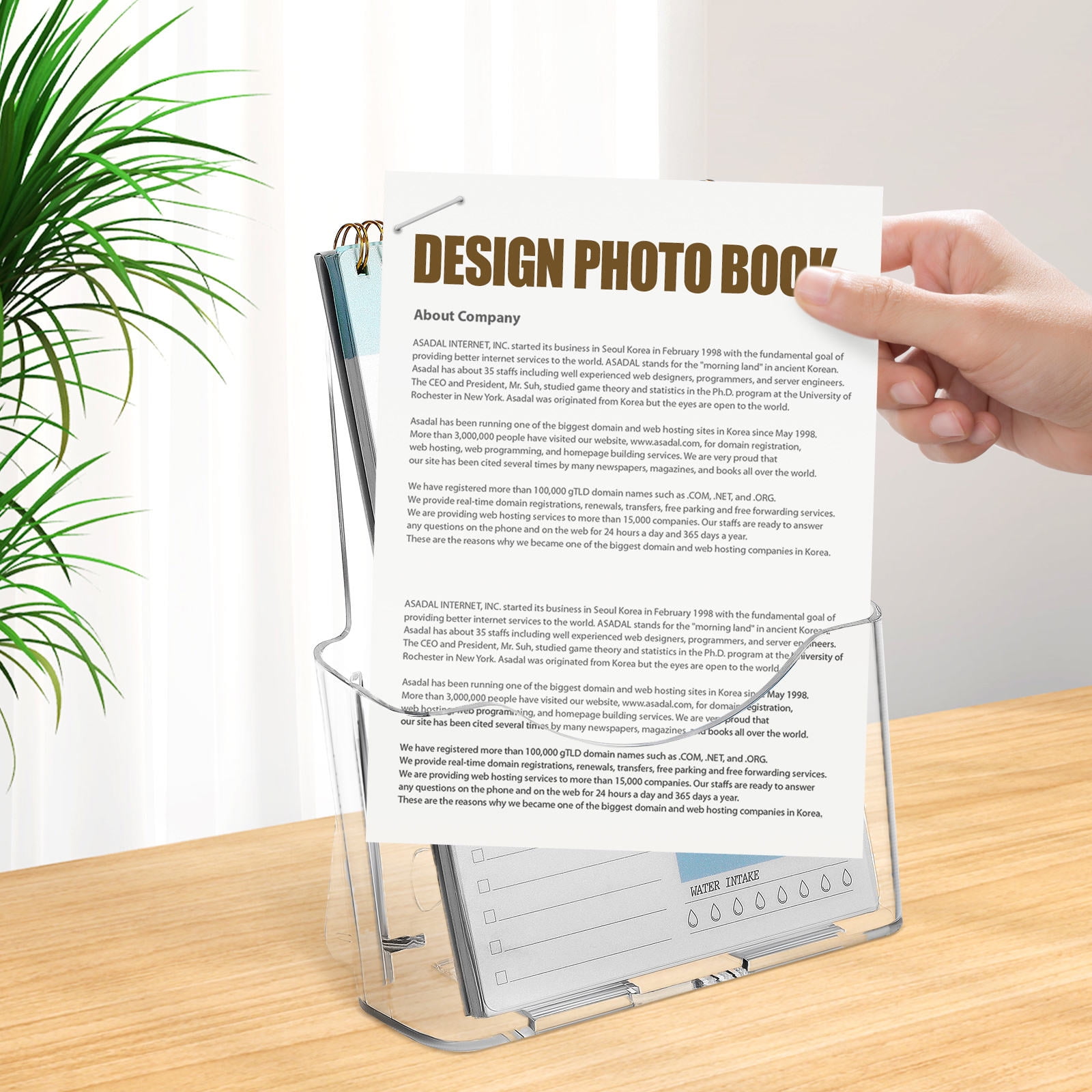 KONTONTY Transparent Acrylic Brochure Display Stand for Office Use with ...