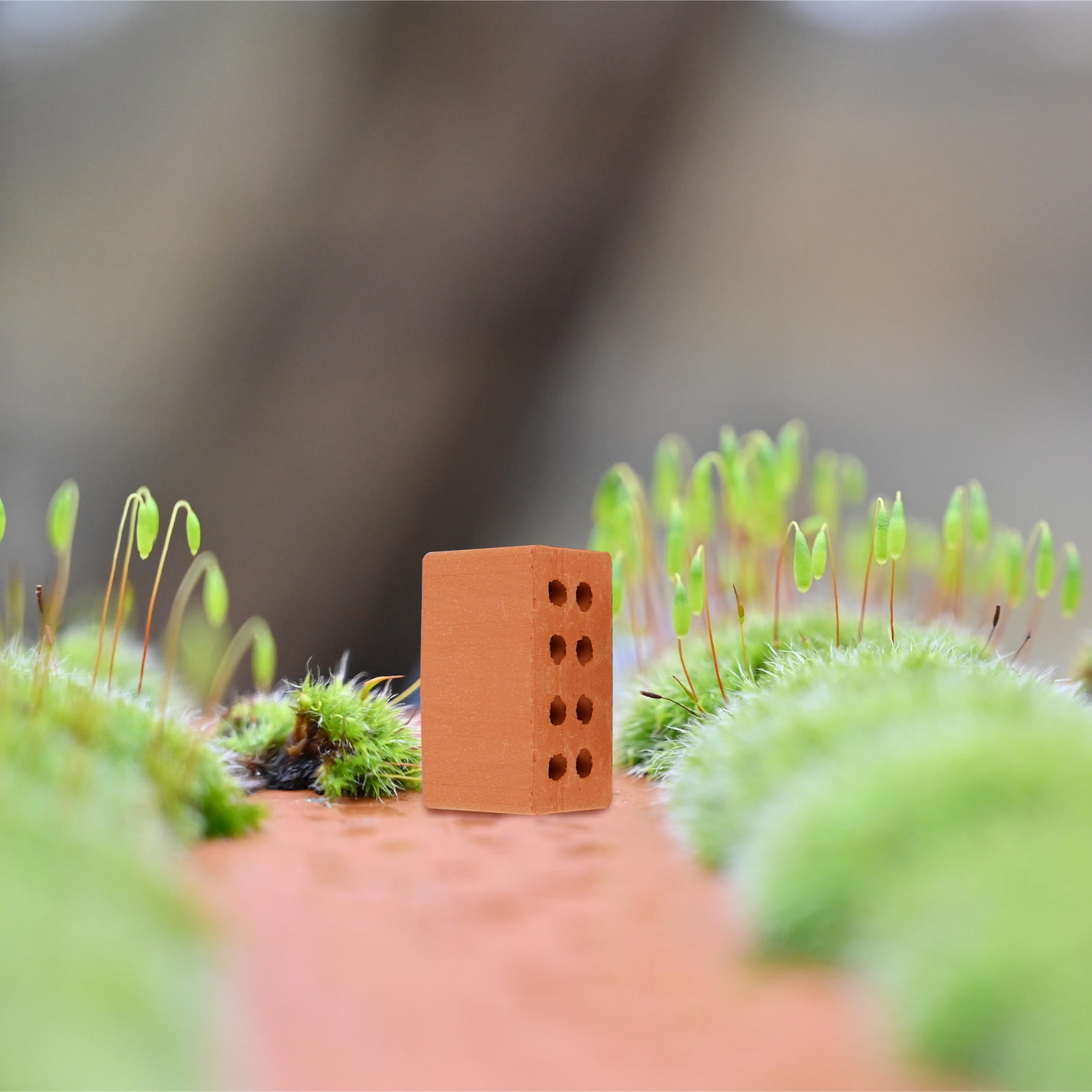 KONTONTY 50pcs Miniature Bricks Realistic Fake Bricks Dollhouse ...