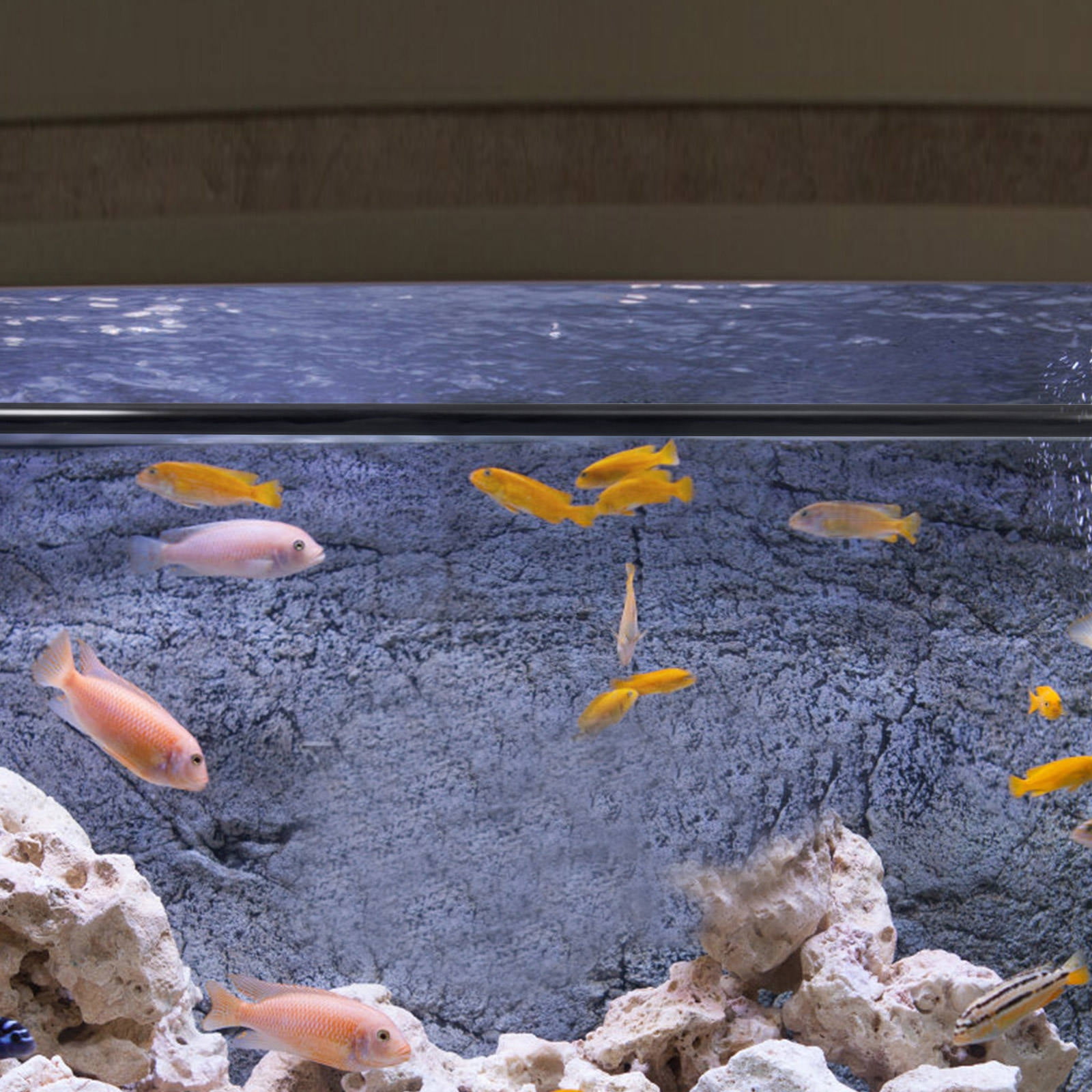 KONTONTY Fish Tank Pipe Convenient Rigid Pipe for Aquariums Round Pipe ...