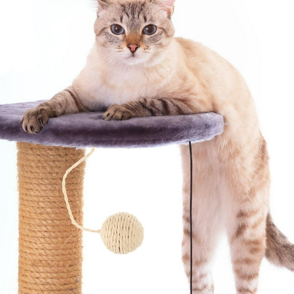 Fuzzy Cat Balls