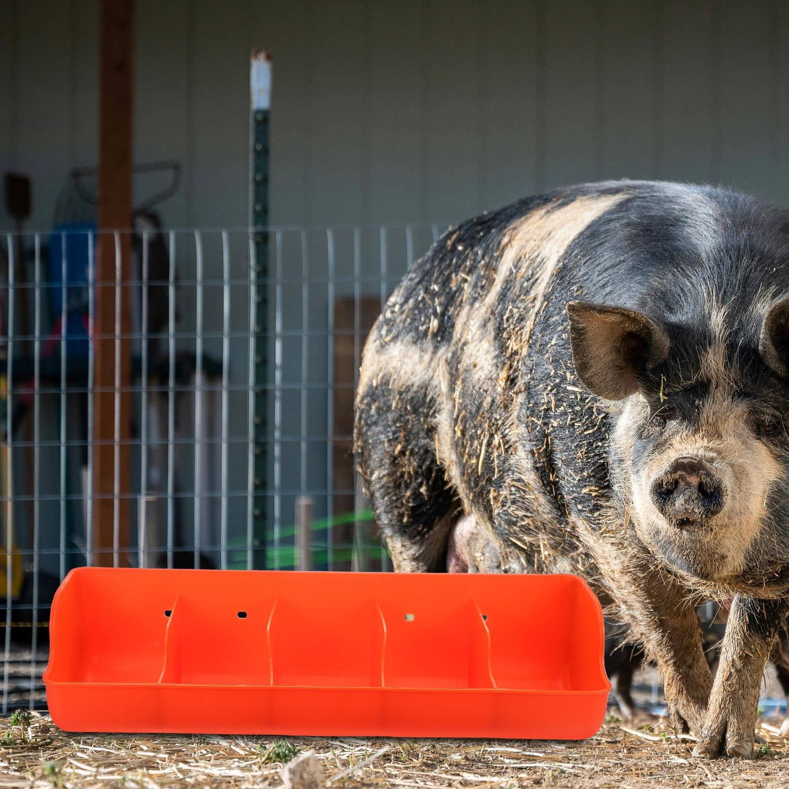 KONTONTY Pig Feeding Trough Pig Food Groove 5 Slots Cattle Goat Sheep ...