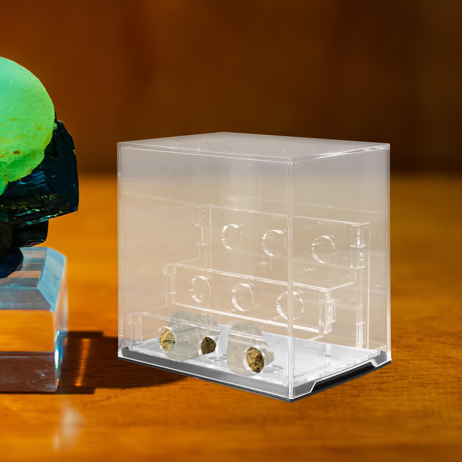 KONTONTY Rock Display Box Crystal Mines Specimen Box Display Rock ...