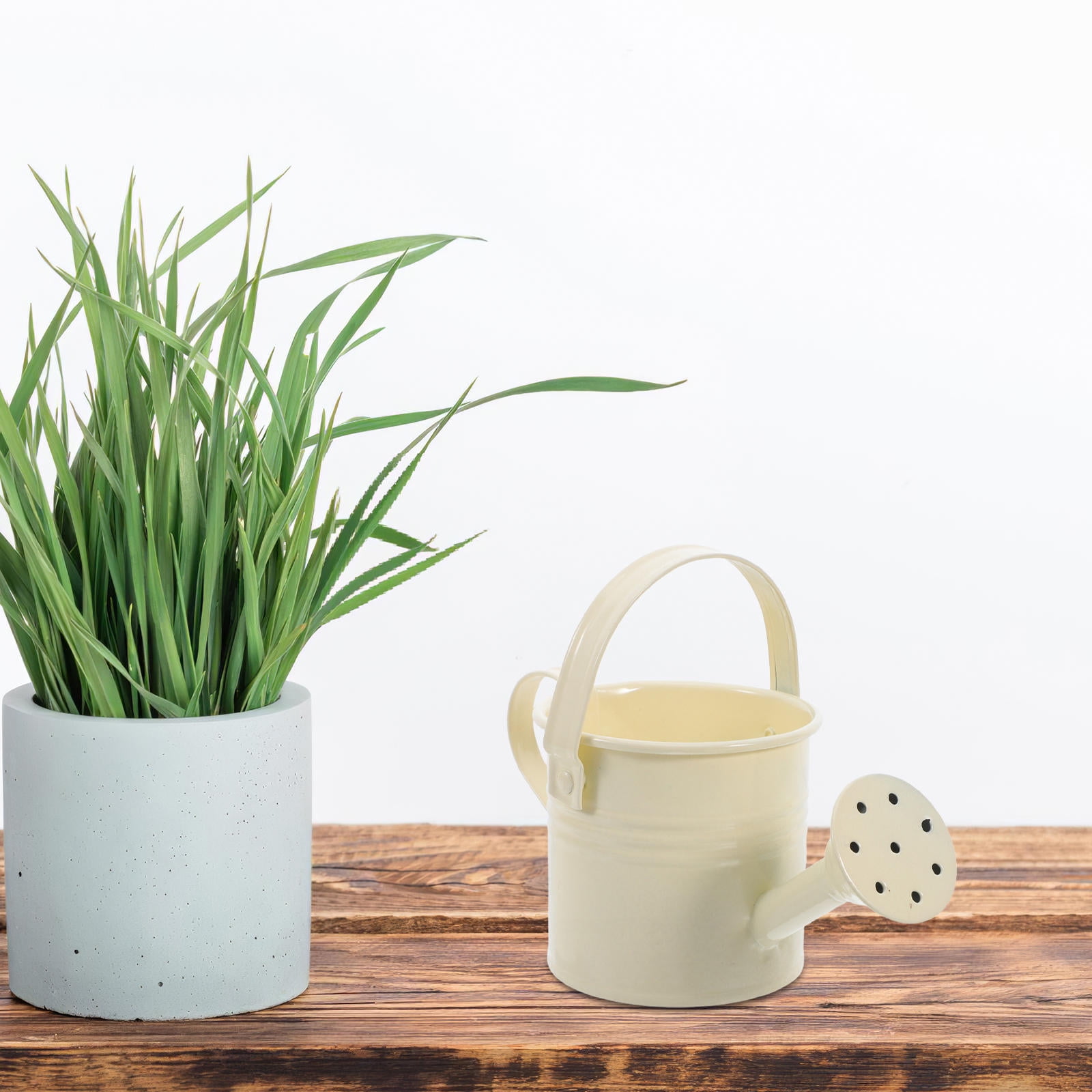 KONTONTY Small Watering Can for Indoor Plants Mini Water Can for ...