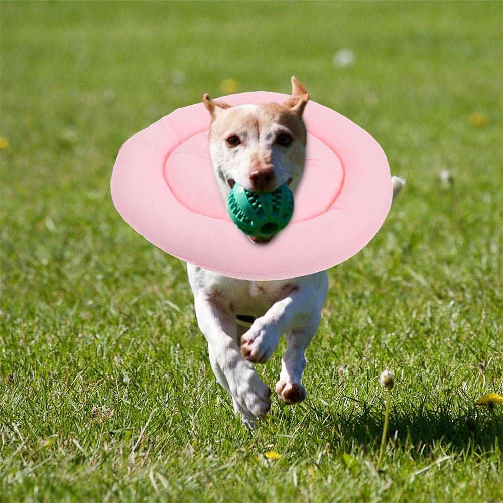 KONTONTY Adjustable Dog Neck Cone Collar for Recovery Comfortable Post ...