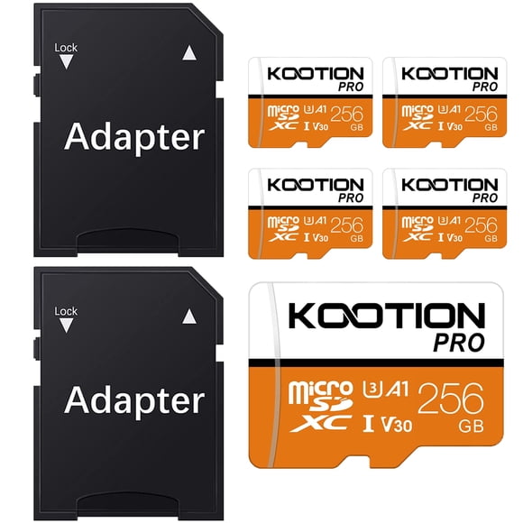 256 GB Memory Cards