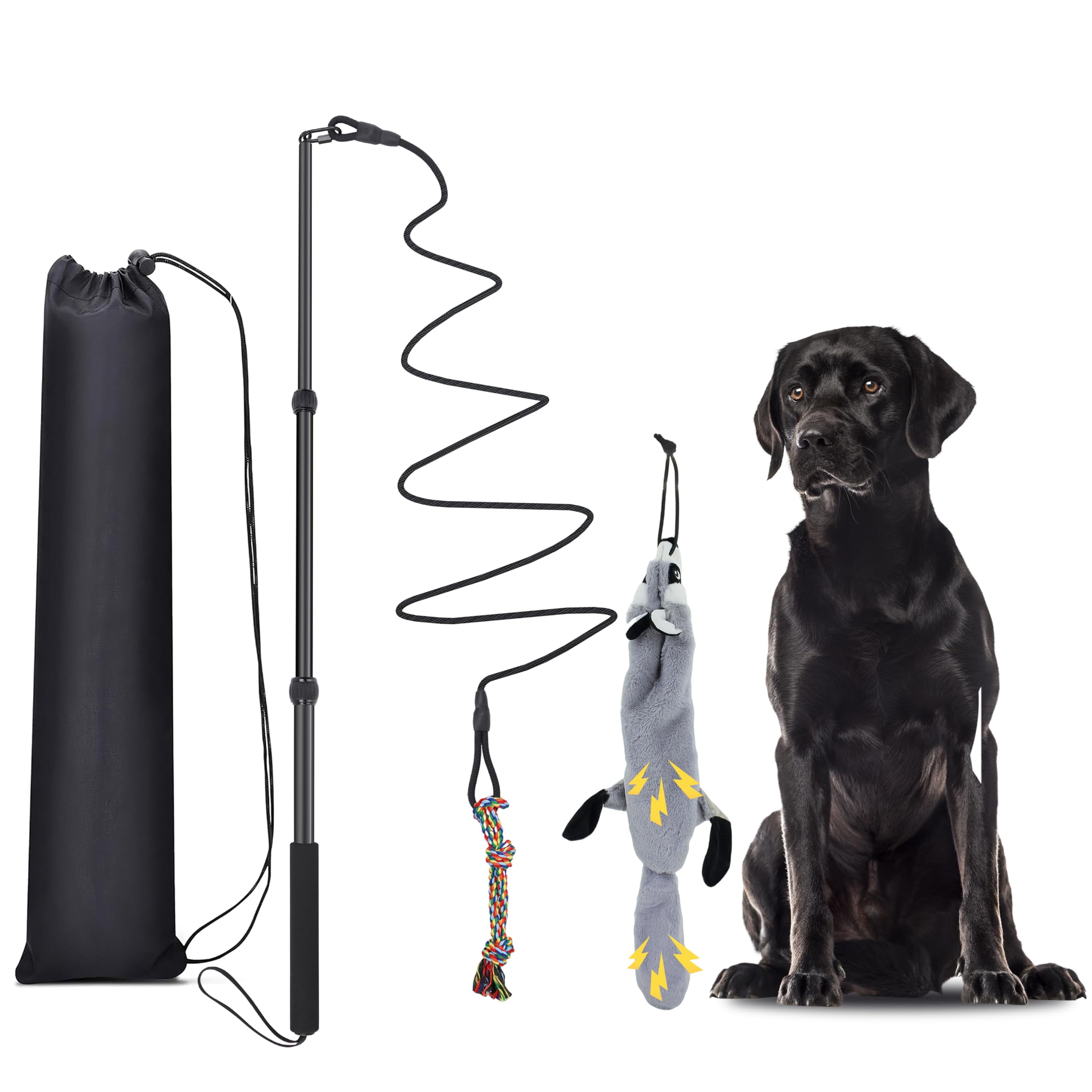KOXXUD Flirt Pole Dogs, YPF5 Dog Chase Toy with Squeakers Inside, Dog ...
