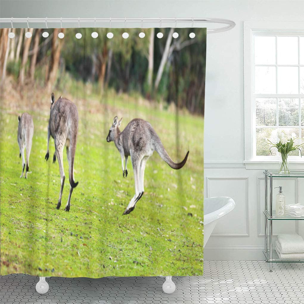 KSADK Brown Kangaroo Kangaloo Jumping Green Wallaby Shower Curtain ...