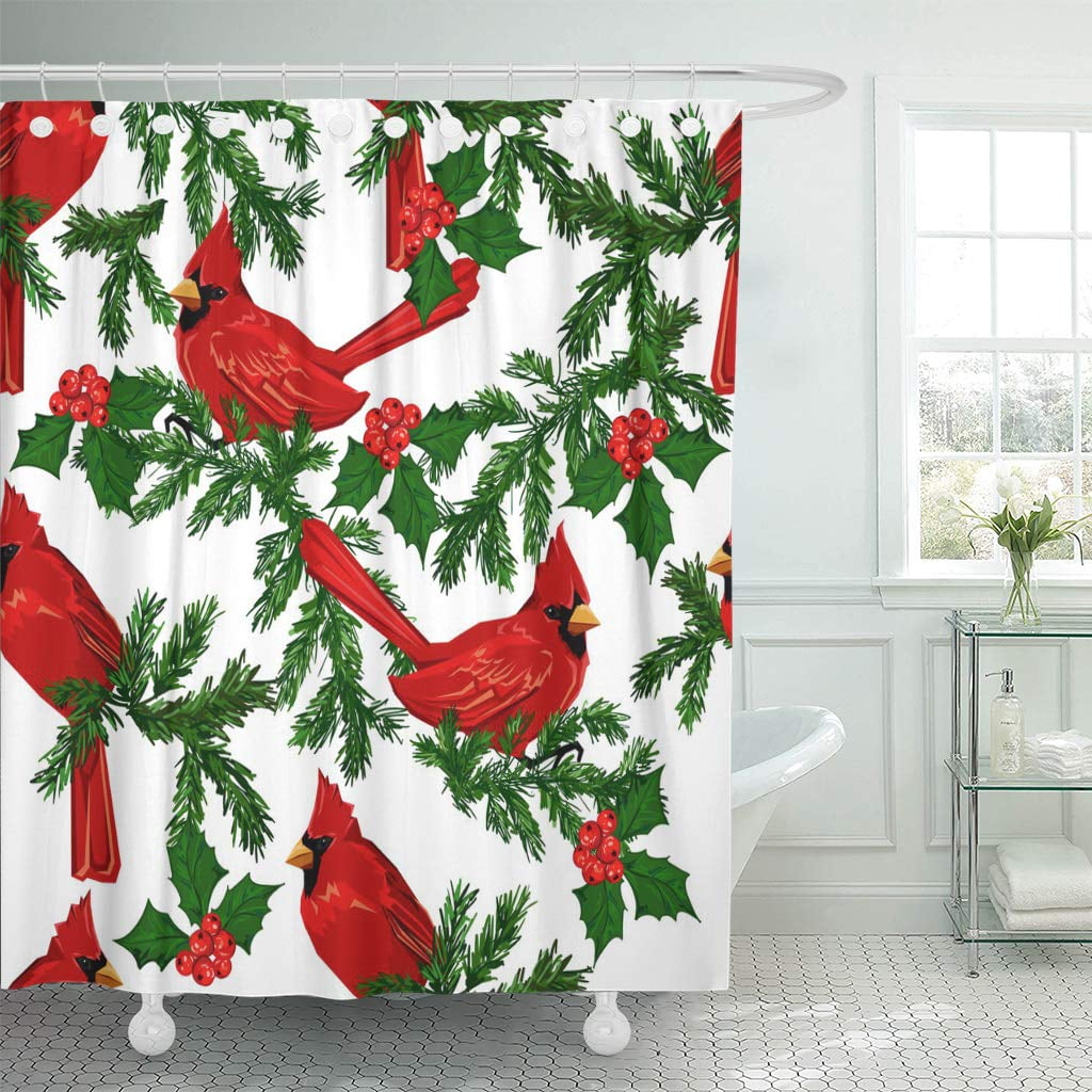 KSADK Colorful Animal Red Cardinal Bird Beak Beautiful Birdwatching ...