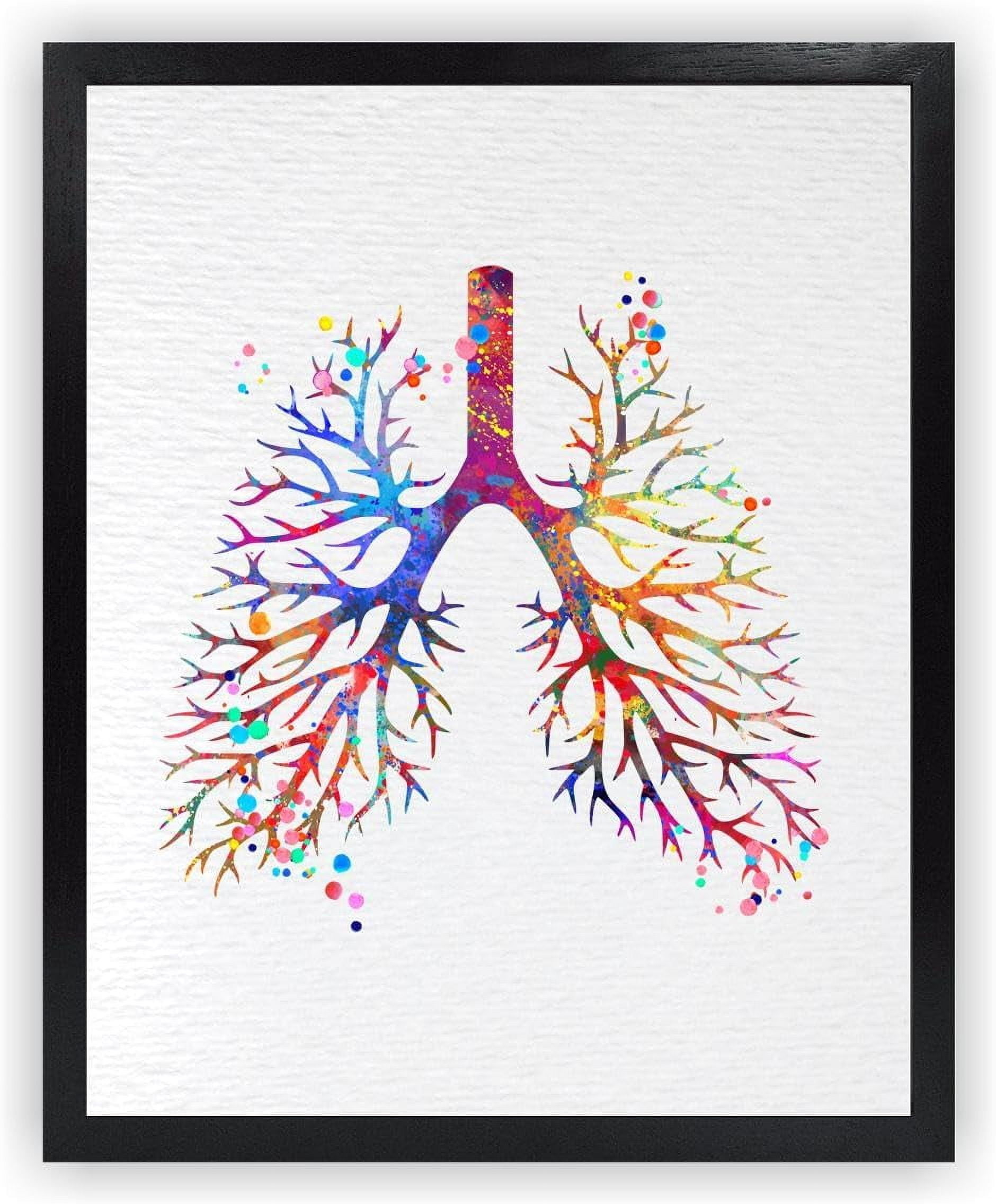 KSIW- 8X10 Unframed Lung Anatomy Human Body Watercolor Art Print Poster ...