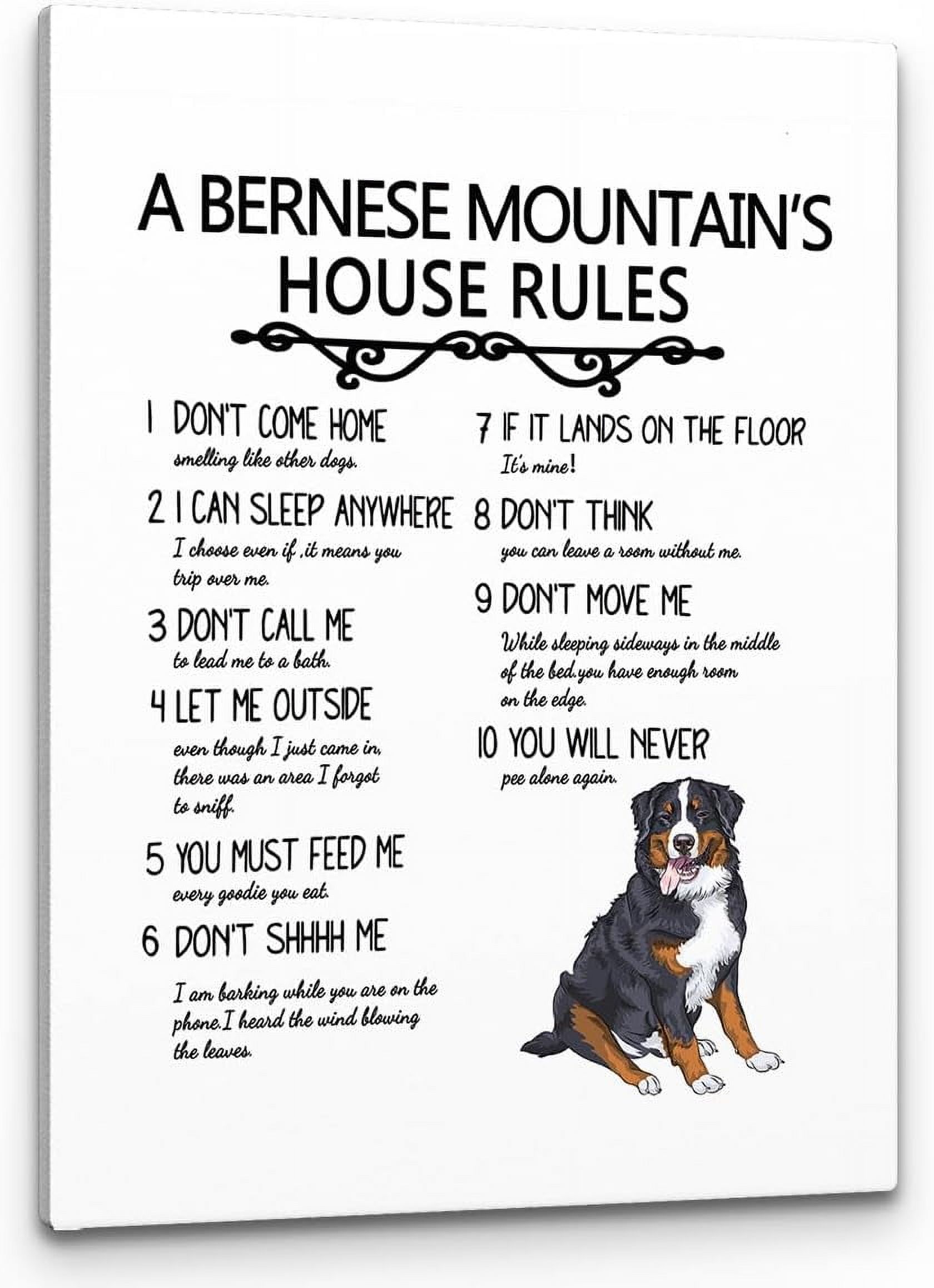 KSIW-A Great Dane‘s House Rules Wall Art, Funny Great Dane Dog Quote ...
