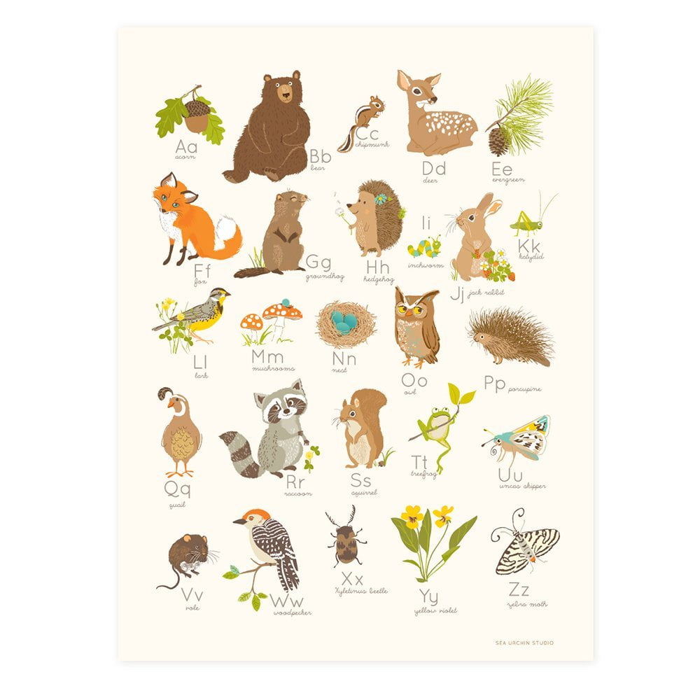 KSIW-Alphabet Poster, Woodland Forest, 12" x 16" - Walmart.com