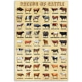 KSIW-Breeds of Cattle Poster Animal Canvas Farmhouse Highland Cow ...