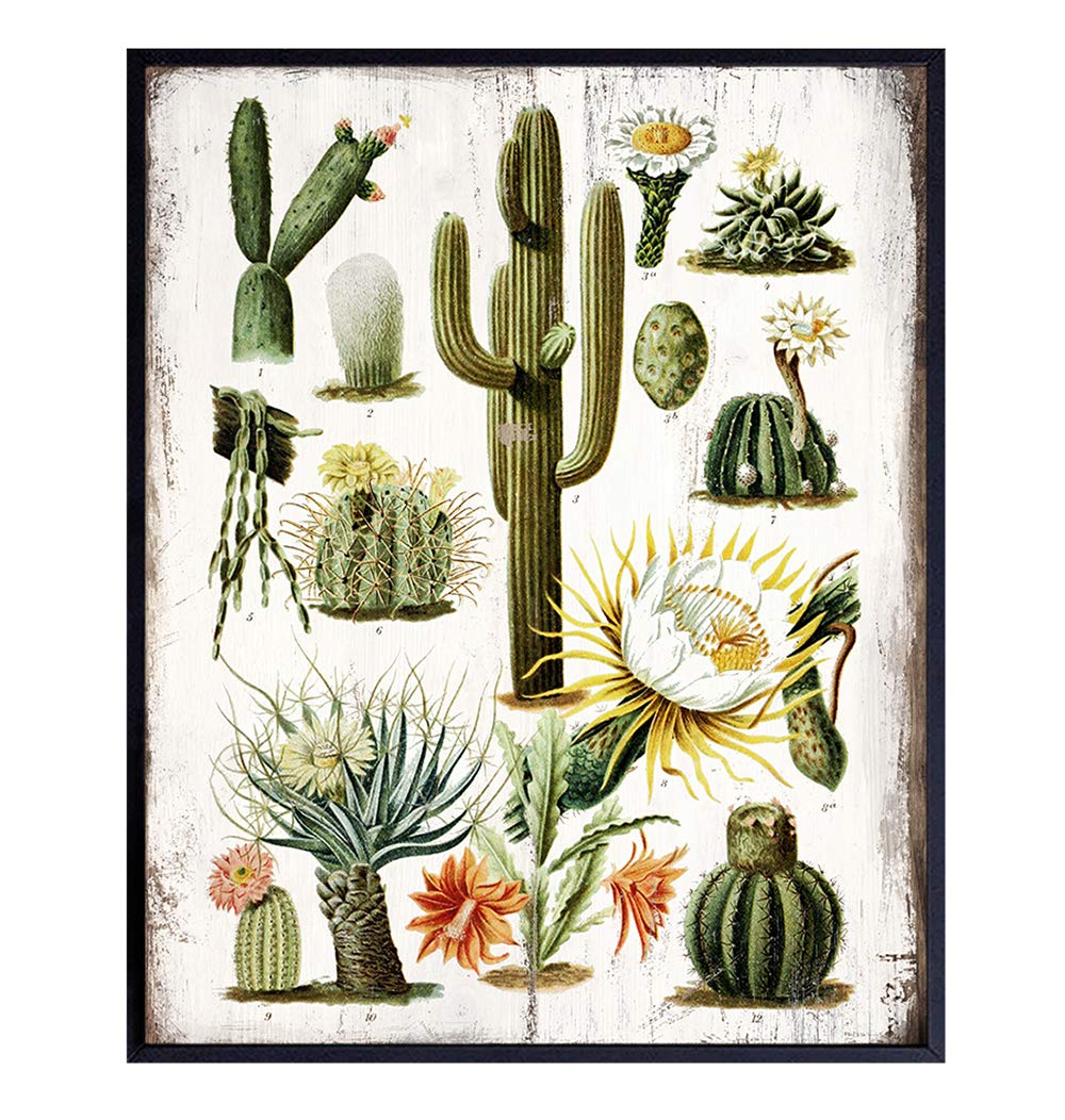 KSIW-Cactus Wall Art - Desert Decor - Vintage Rustic Sonoran Wall Art ...