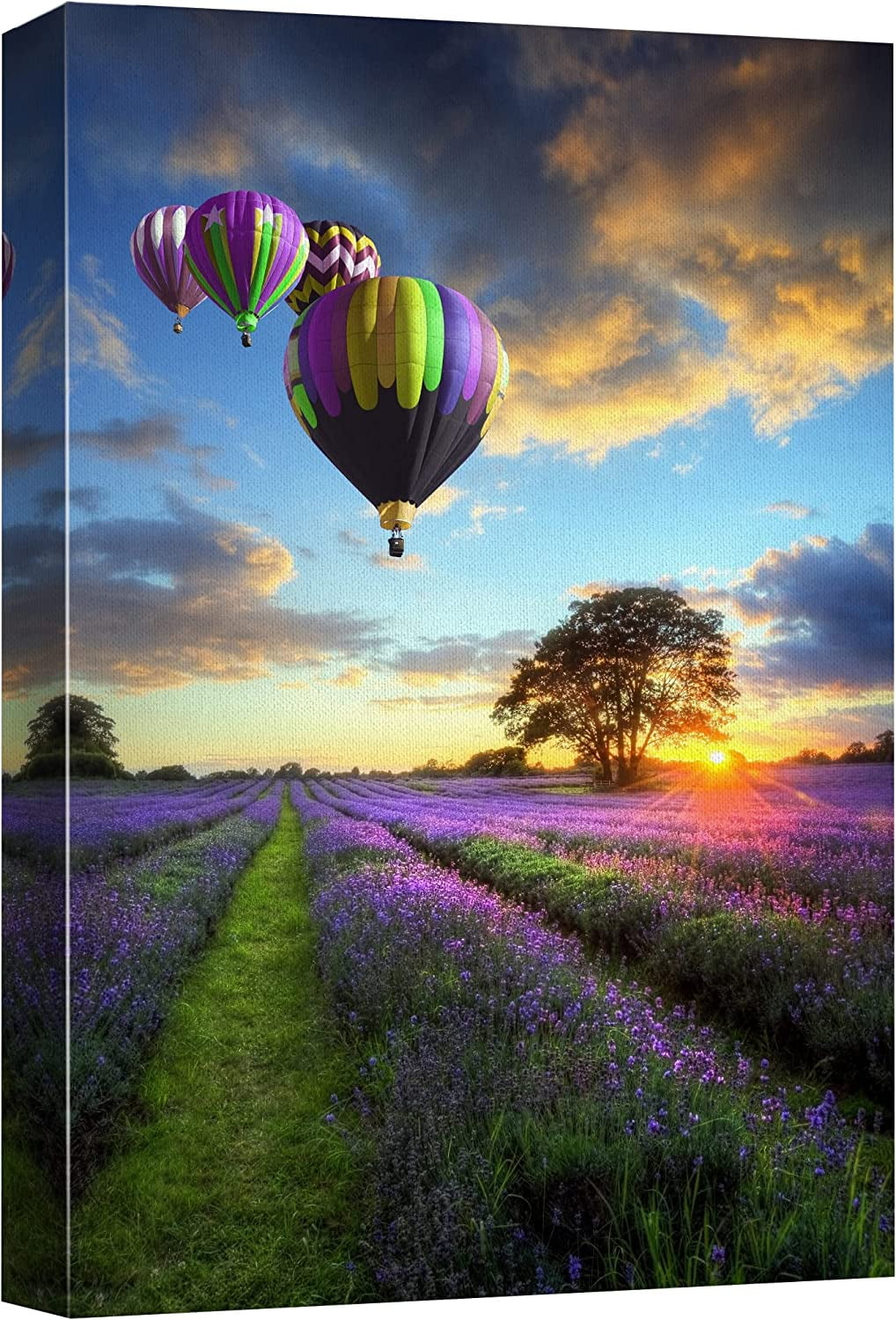 KSIW-Canvas Print Wall Art Hummingbird Flies On White Carnation Flower ...