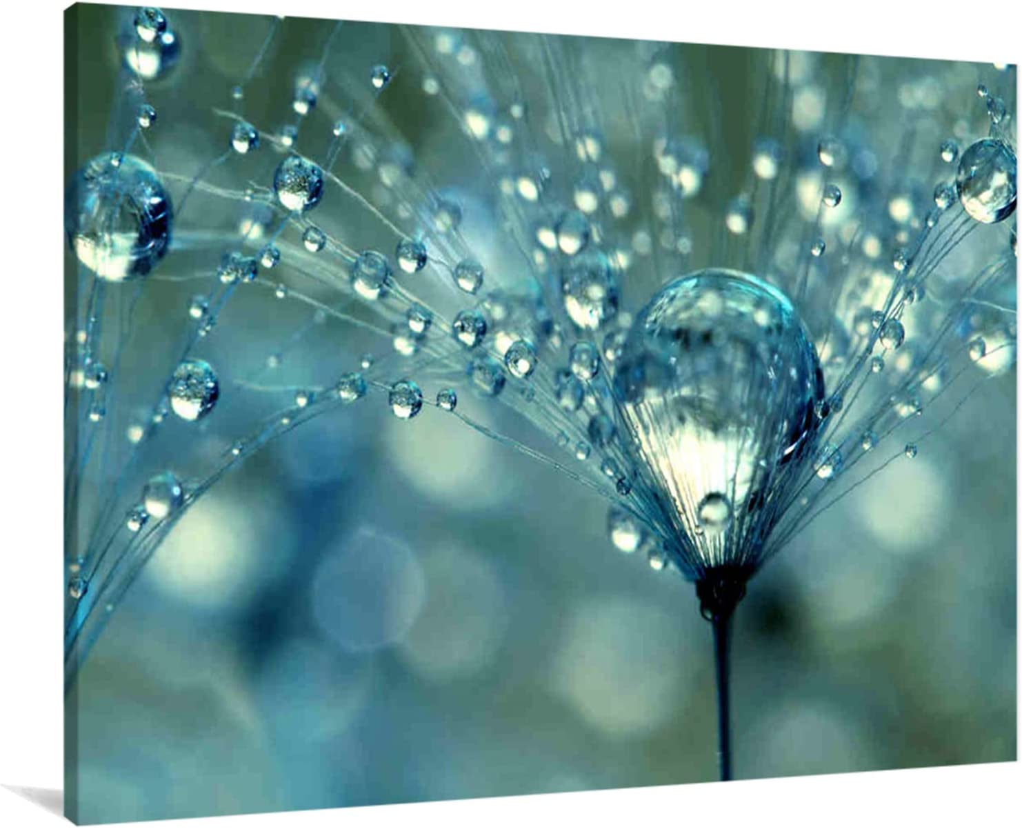 KSIW- Canvas Wall Art Dandelion And Water Drop Canvas Print Artwork ...