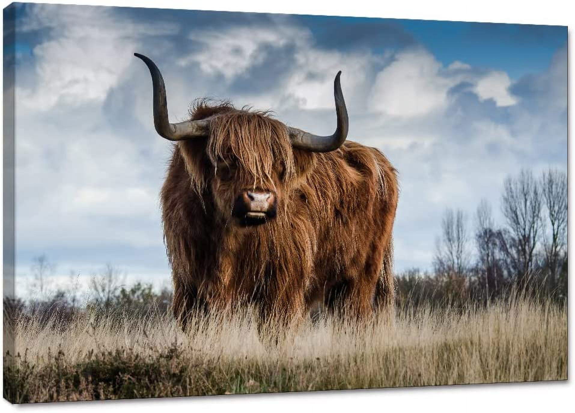 KSIW-Highland Cattle Decor Farmhouse Style Highland Cattle Canvas ...