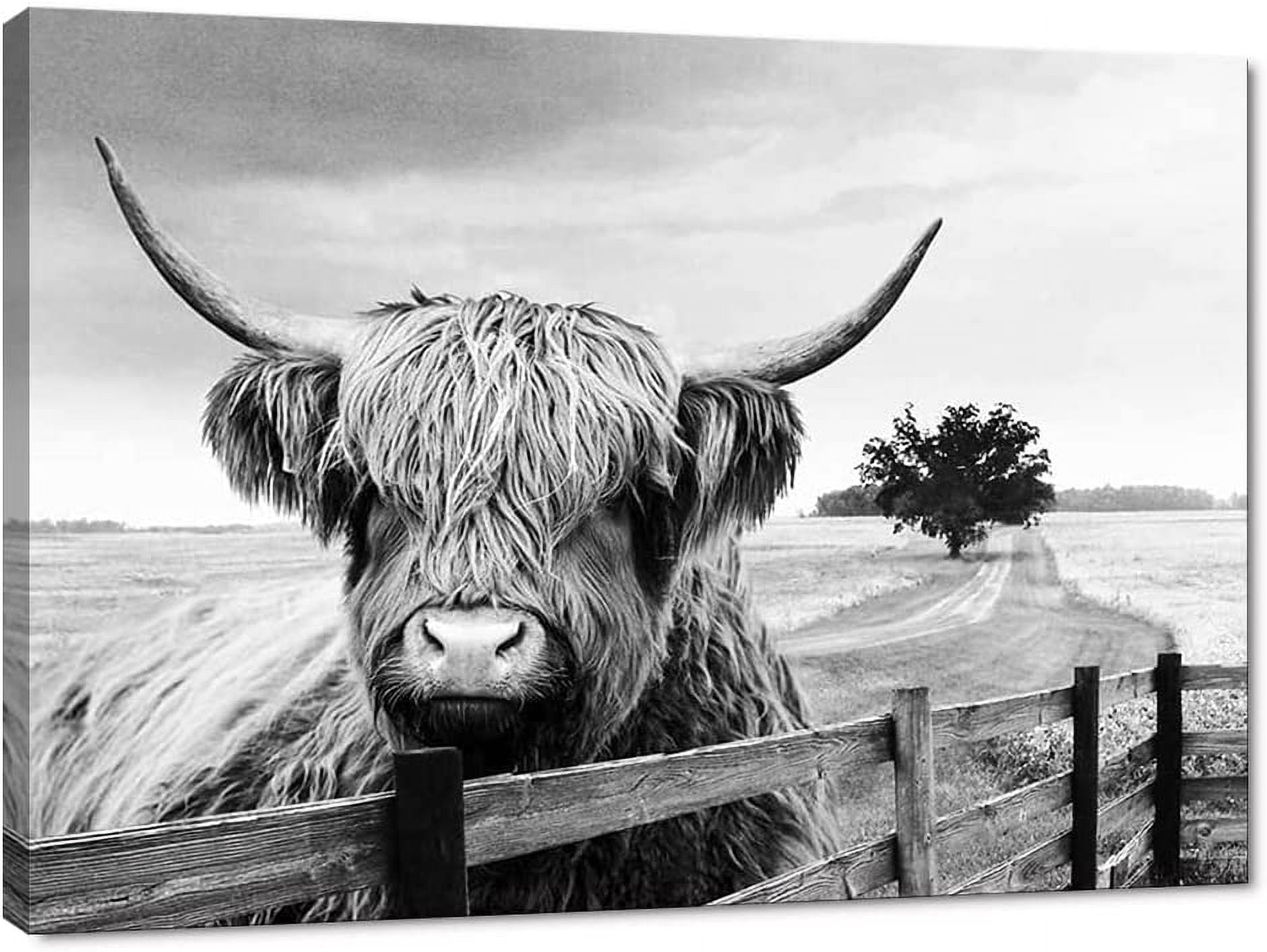 KSIW-Highland Cattle Decor Farmhouse Style Highland Cattle Canvas ...