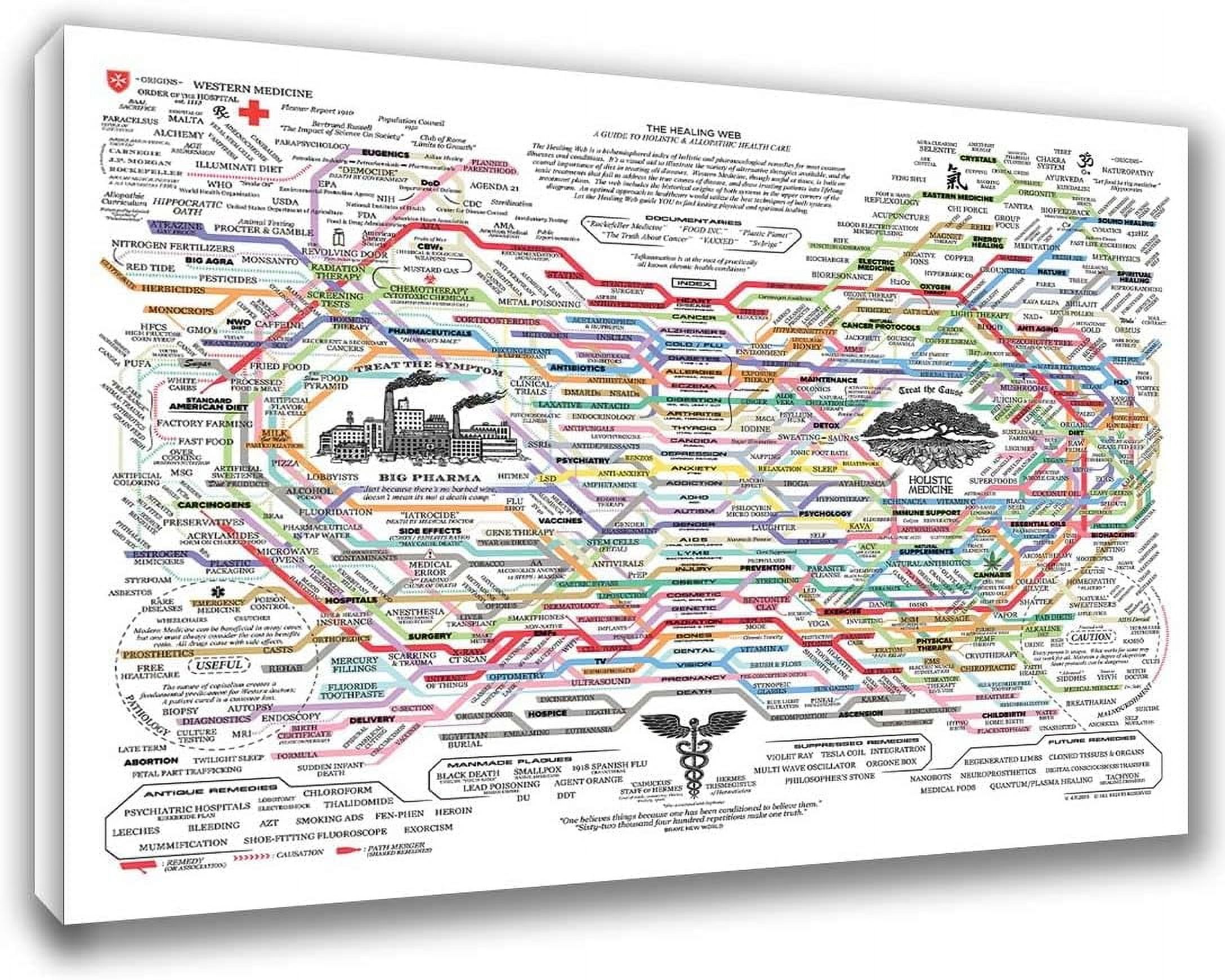 KSIW-KSIWThe Healing Web Map Poster Spirit Natural Remedies Chart Wall ...