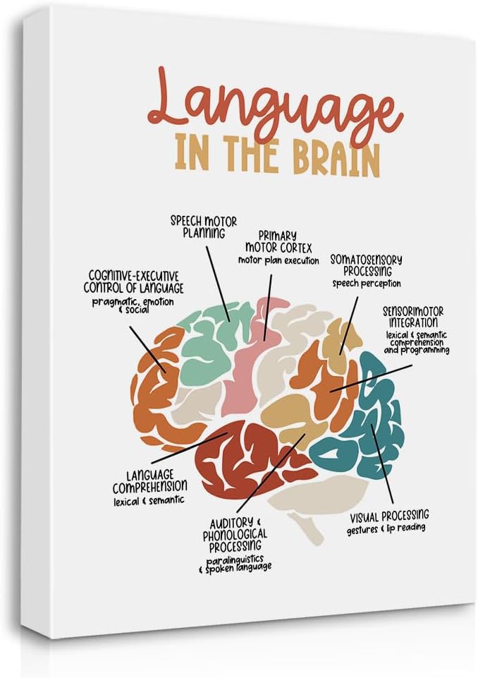 KSIW-Language in the Brain SLP Speech Therapy Mental Health Canvas Wall ...