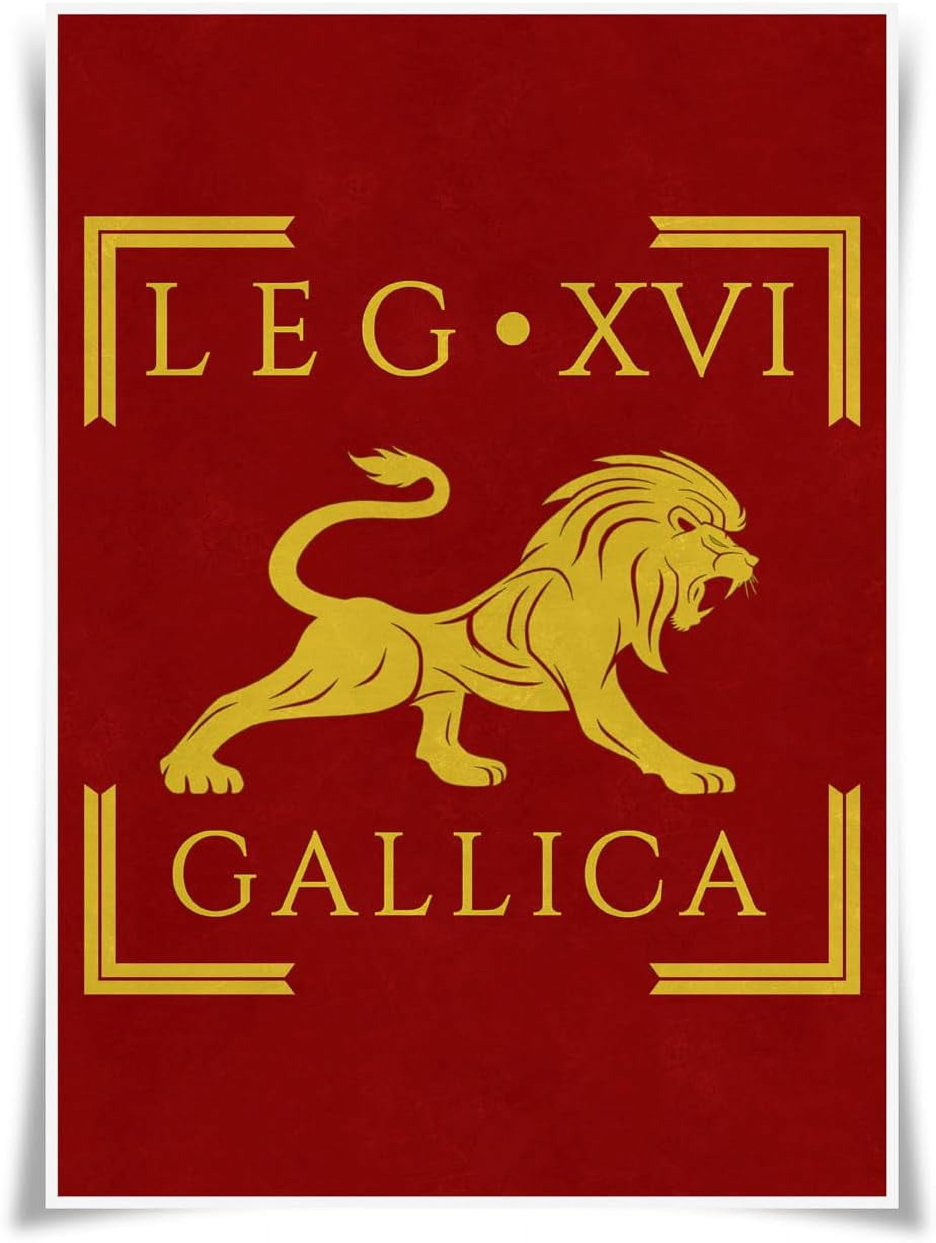 KSIW-Nice Captain Roman Legion Flag Poster Fabric Print - Ancient Roma ...