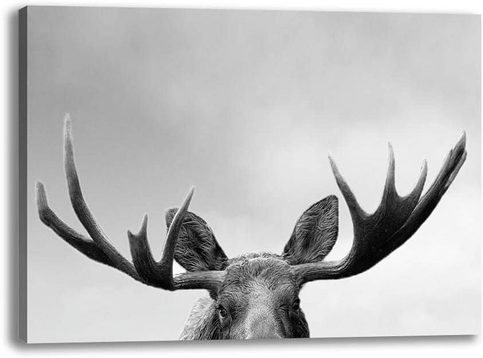 KSIW-Peeking Moose Canvas Wall Art Funny Moose Black and White Poster ...