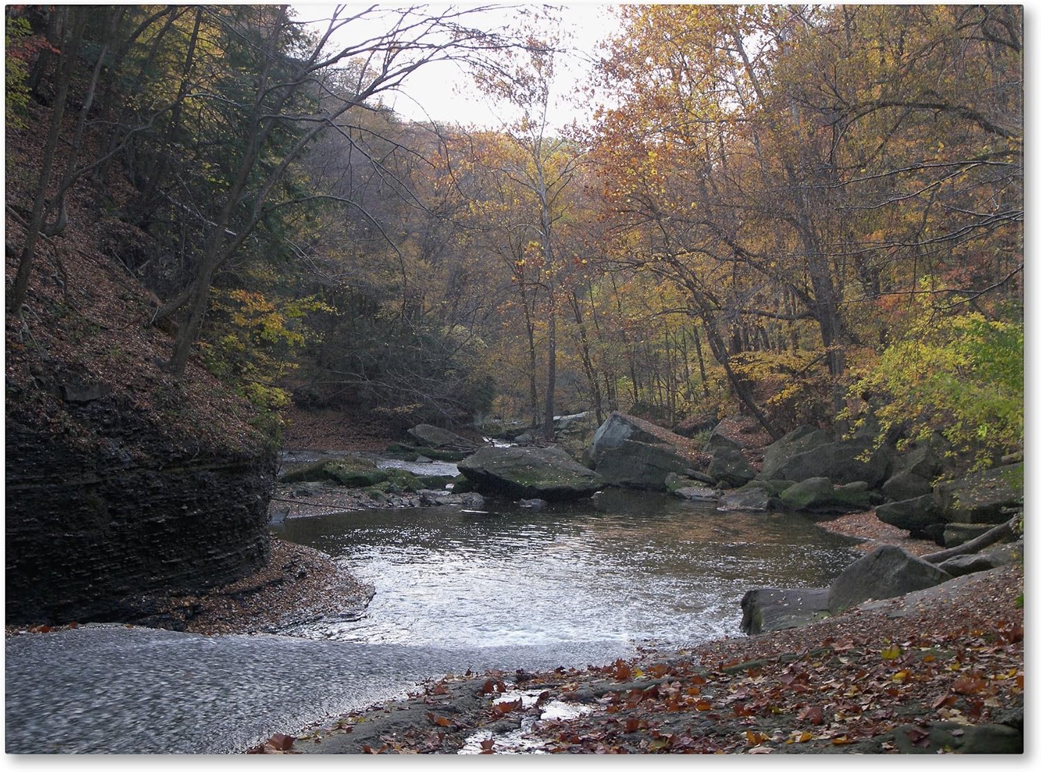 KSIW-Prosaic Artwork by Monica Fleet, 24 by 32-Inch - Walmart.com