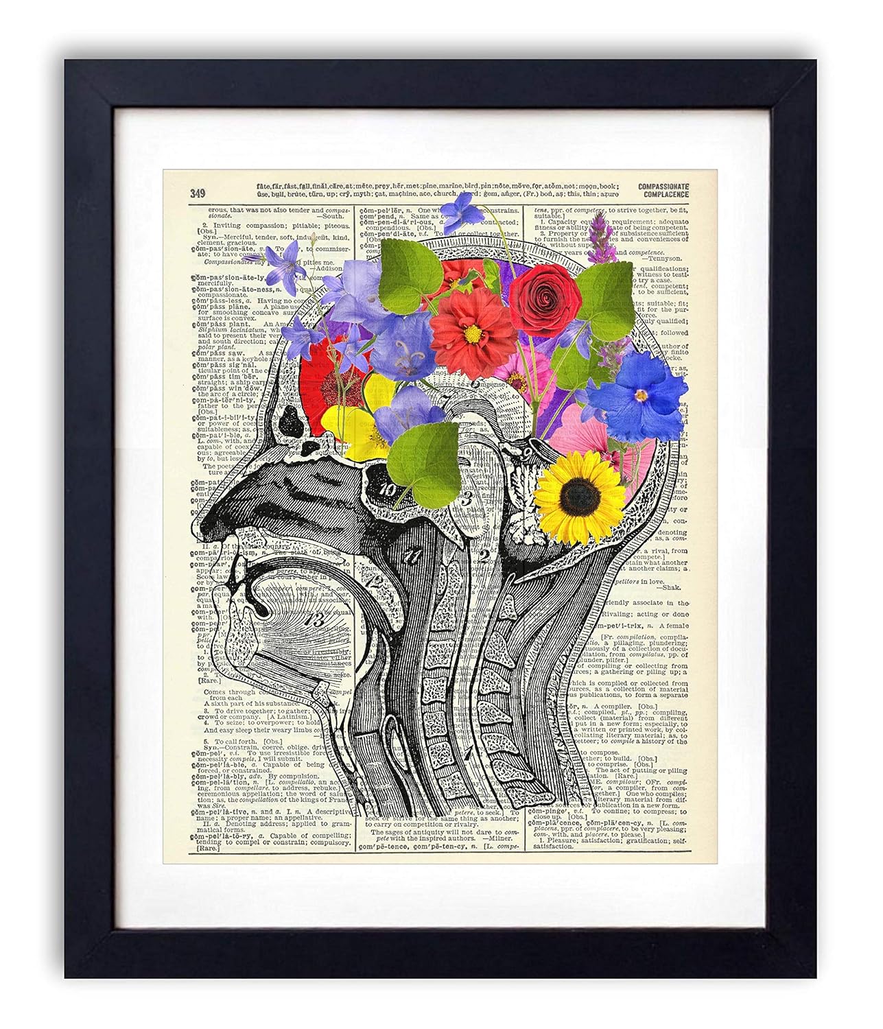 KSIW-Vintage Anatomy Illustration Art, Dictionary Print, Antique Wall ...