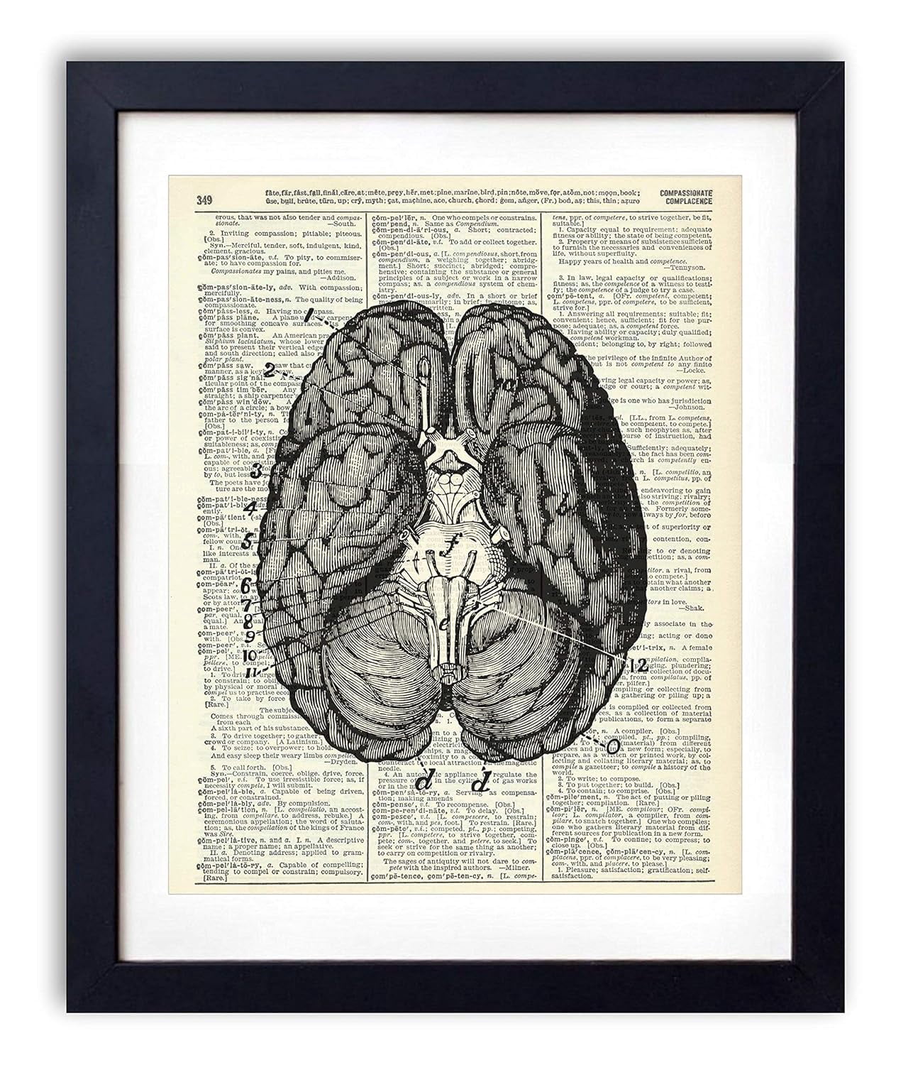 KSIW-Vintage Anatomy Illustration Art, Dictionary Print, Antique Wall ...