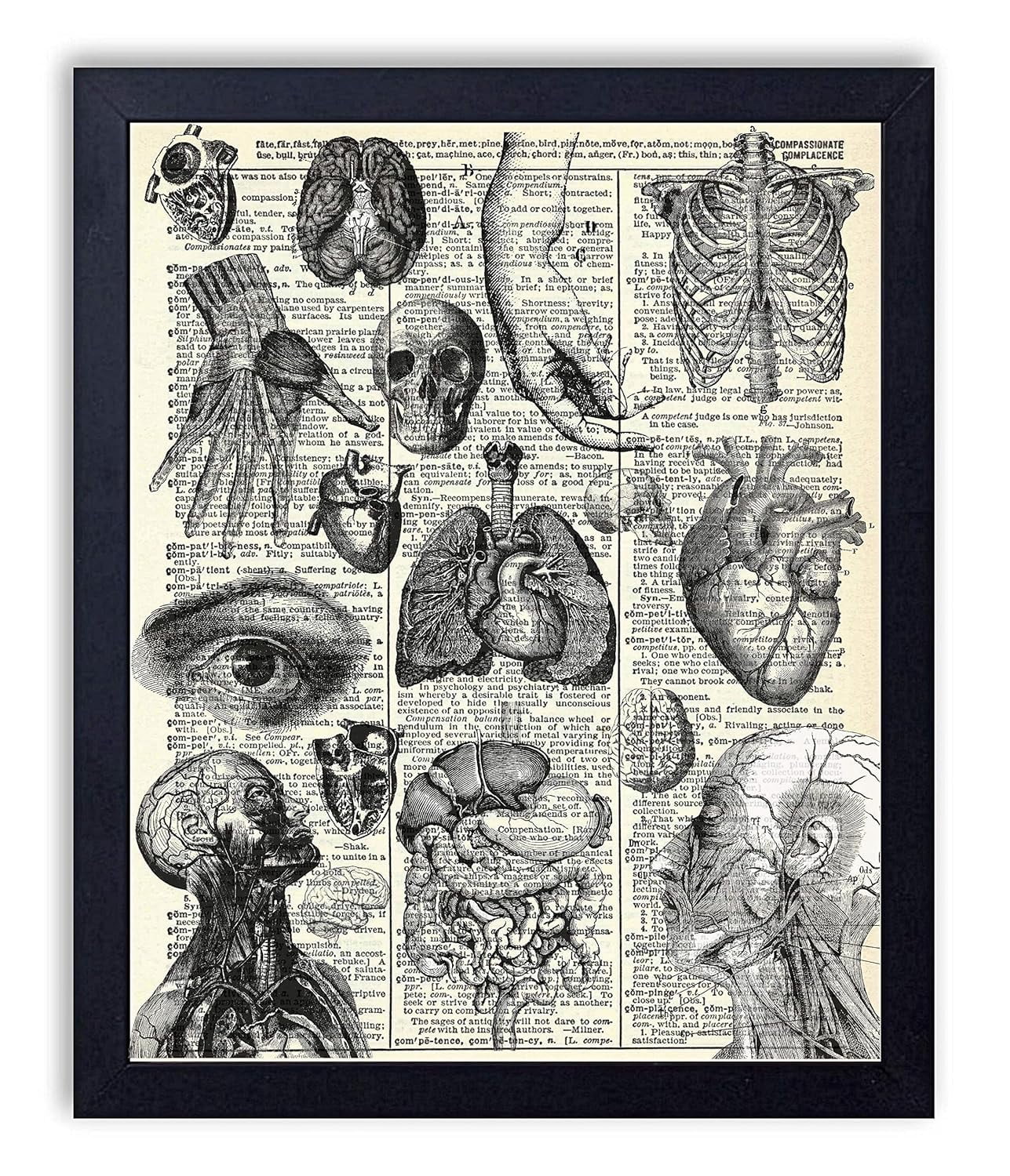 KSIW-Vintage Anatomy Illustration Art, Dictionary Print, Antique Wall ...