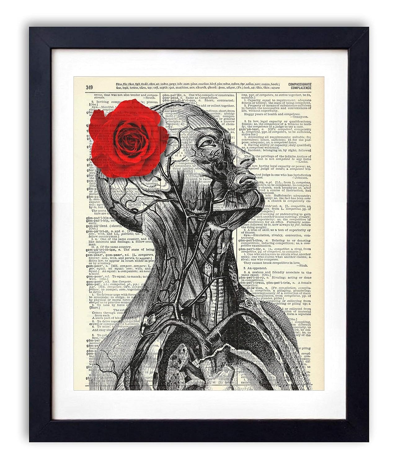 KSIW-Vintage Anatomy Illustration Art, Dictionary Print, Antique Wall ...