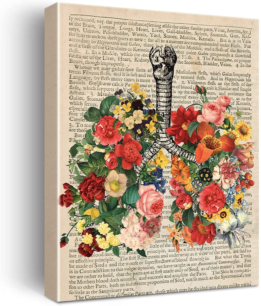 KSIW-Vintage Human Anatomy Poster - Anatomy Canvas Wall Art Anatomical ...