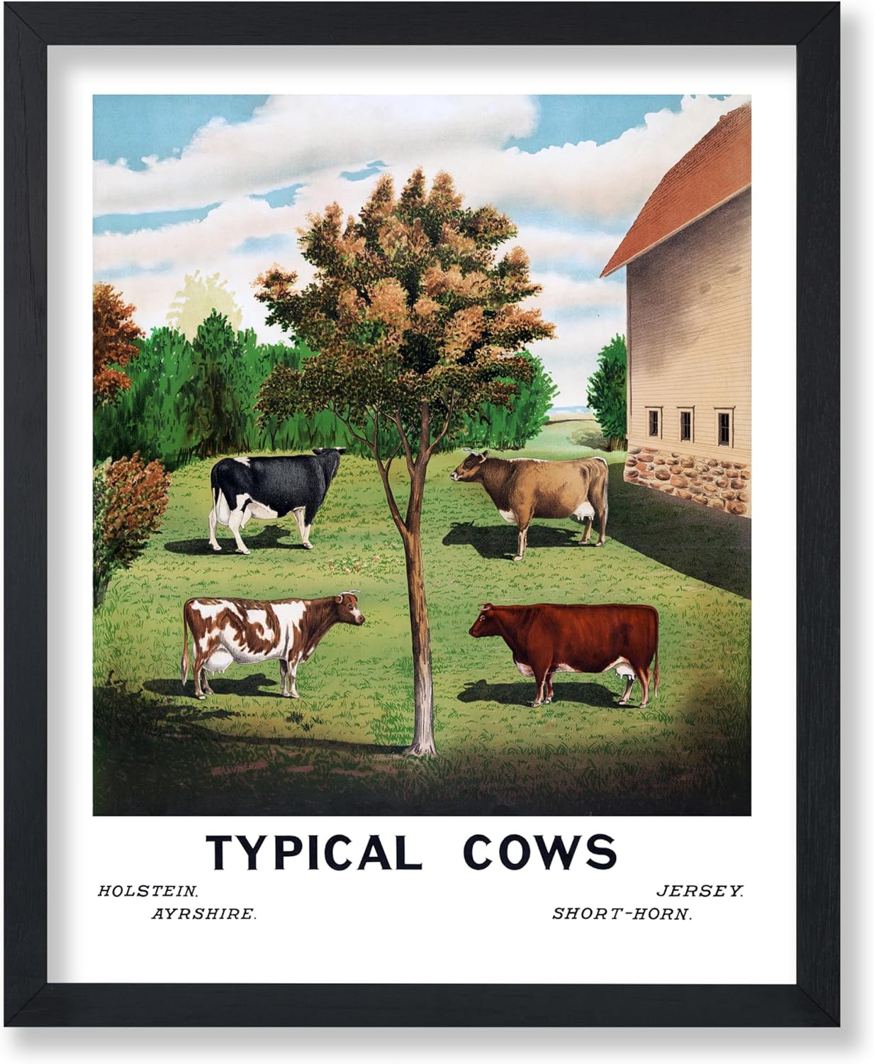 KSIW- Vintage Typical Cows Poster - Retro Cattle Print - Cow Art ...