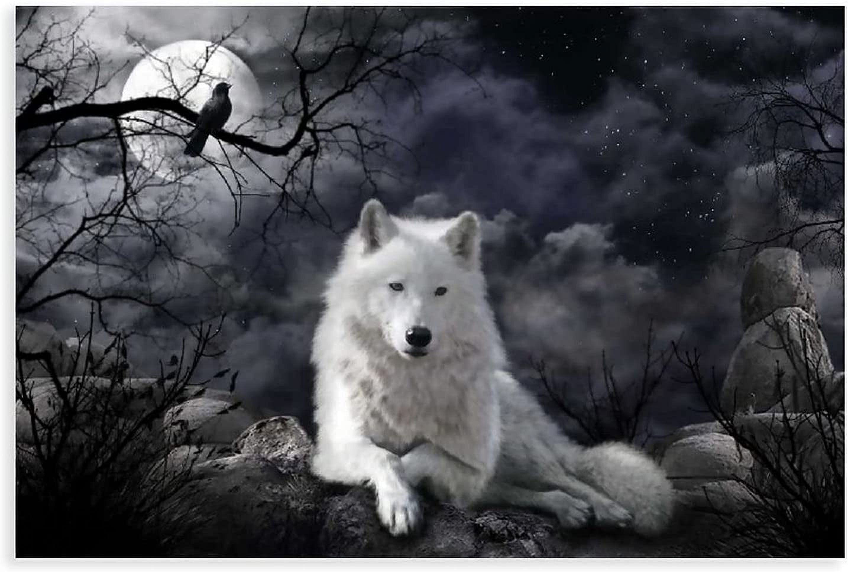KSIW- Wolf Poster - Wolf Wall Art - Wolf Pictures - Wolf Paintings ...
