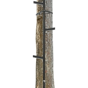 20 Foot Ladder in Ladders - Walmart.com