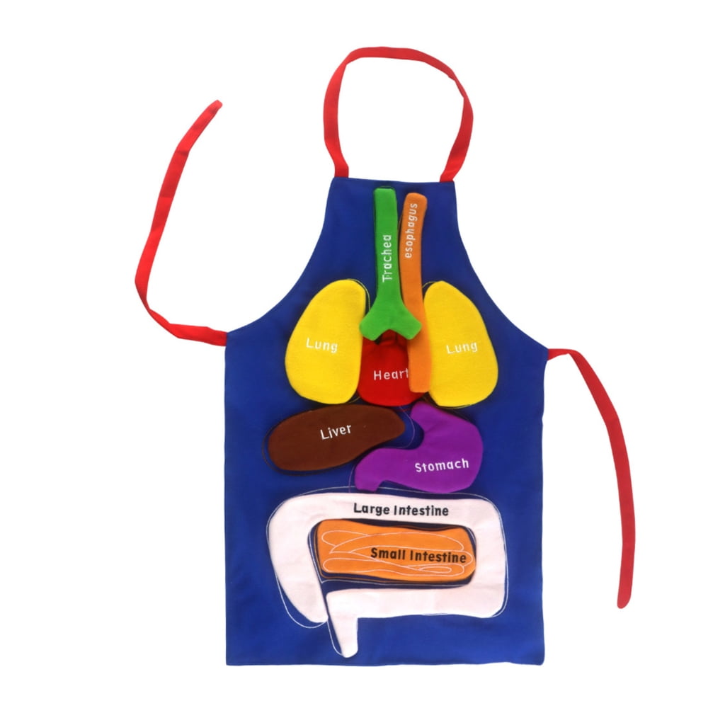 KUFptva Children Educational Apron Teaching Toy with Detachable Human ...