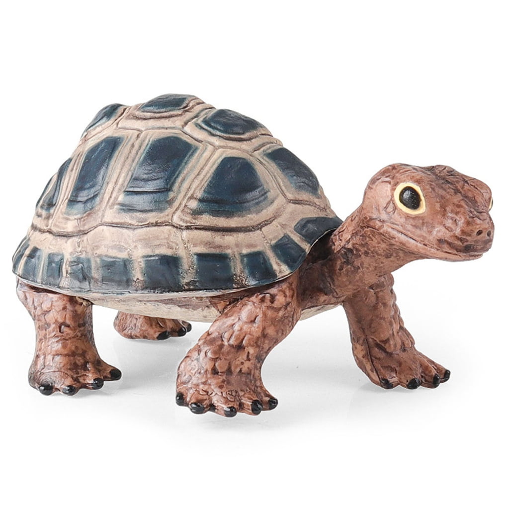 KUFptva Detailed Tortoise Figure Perfect for Educational Display ...