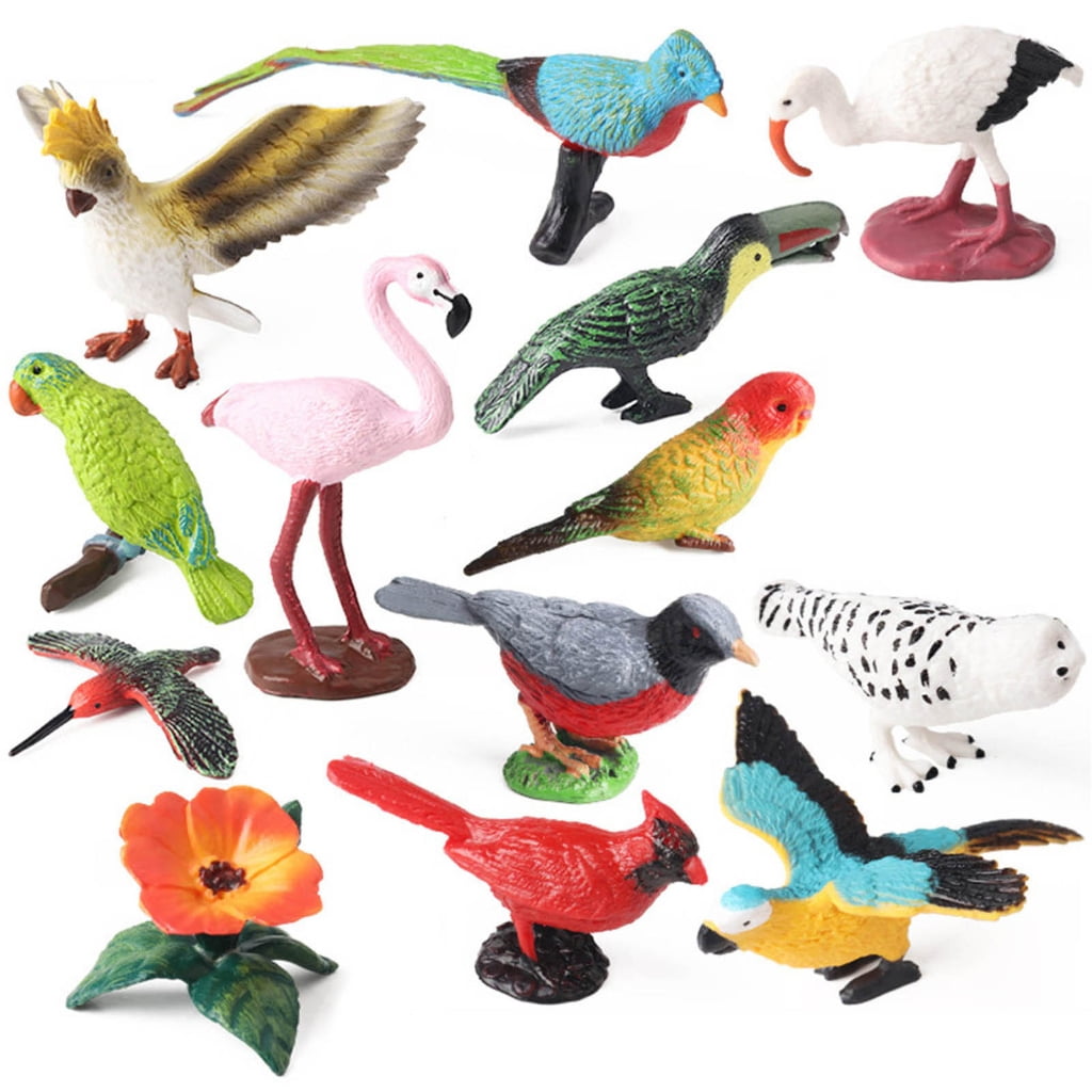 KUFptva Simulation Birds Figurine Set of 12 Solid Model Figure Life ...